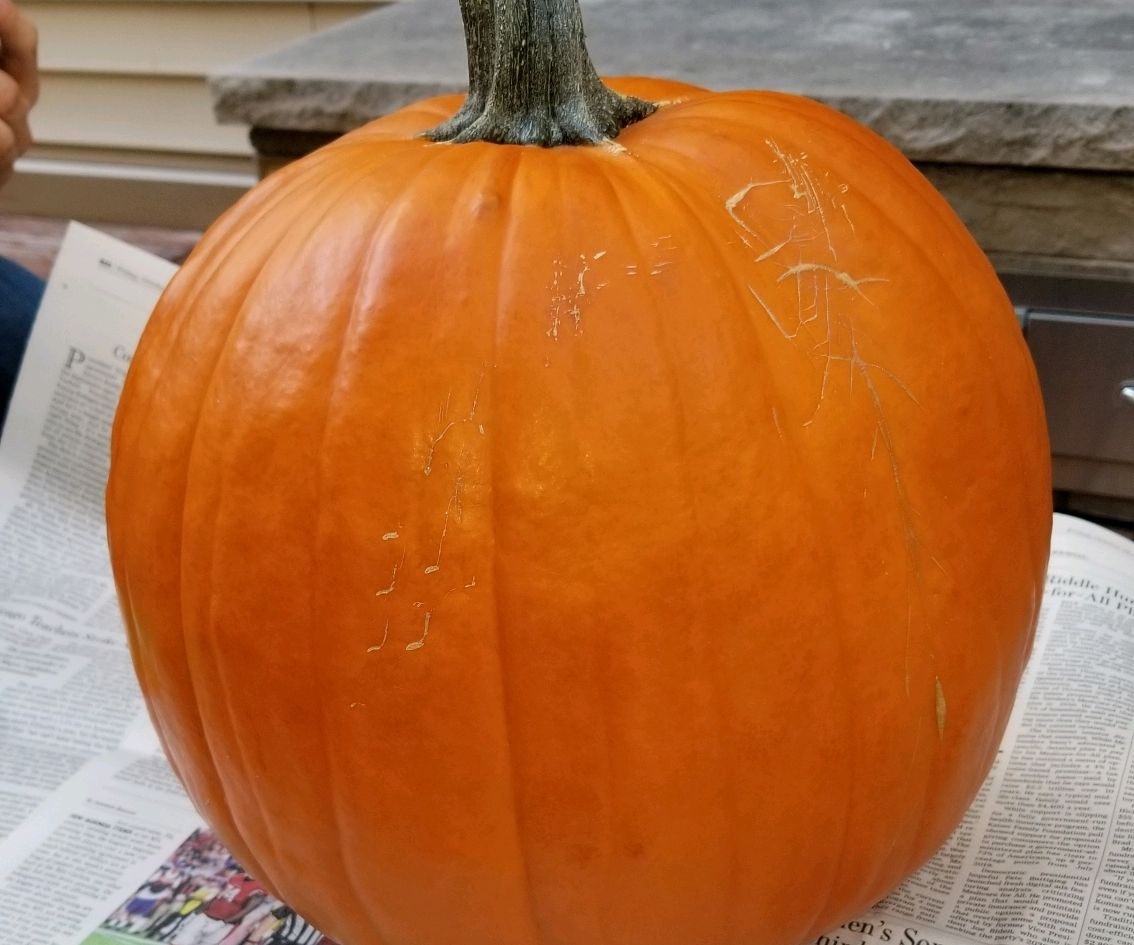 The Pumpkin Head Prop : 6 Steps - Instructables