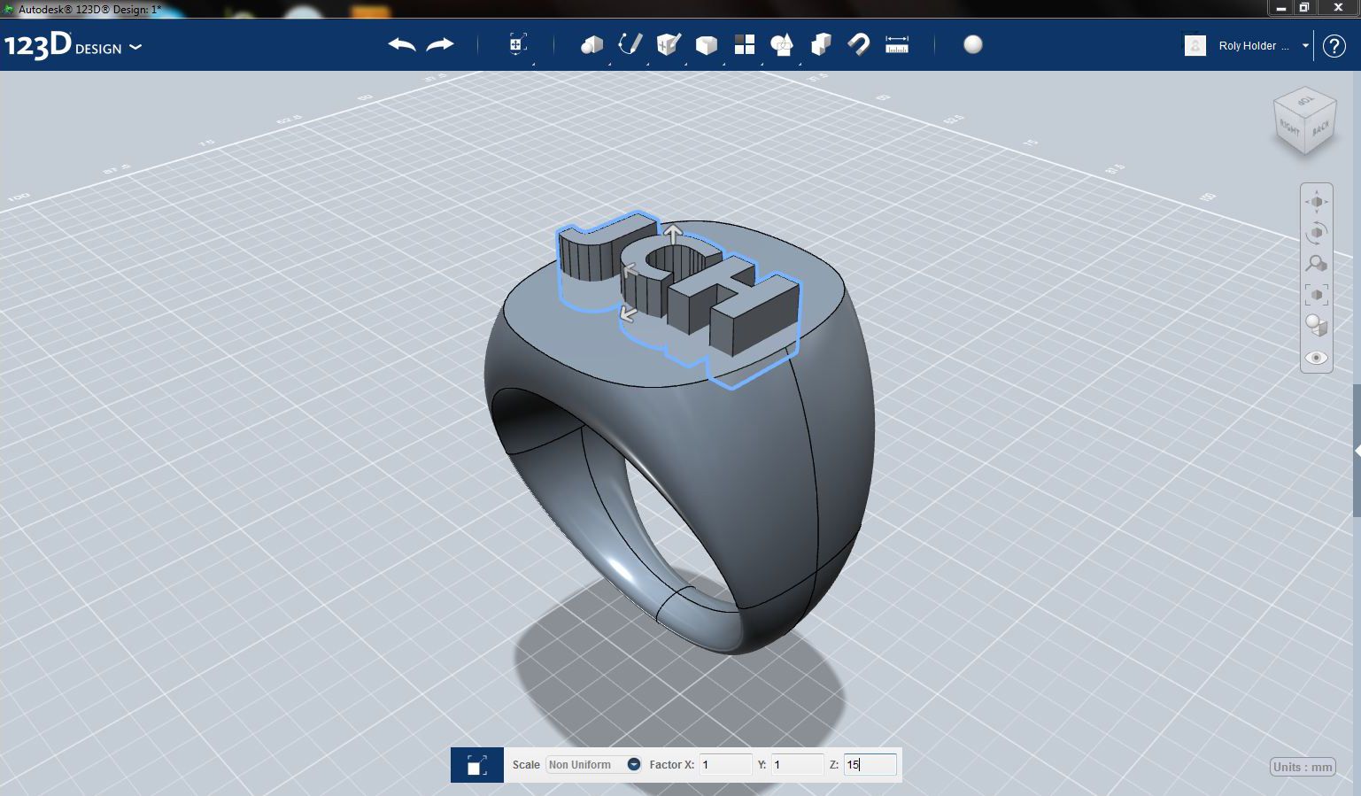 Customizable 3D Printed Ring Designs : 15 Steps (with Pictures ...