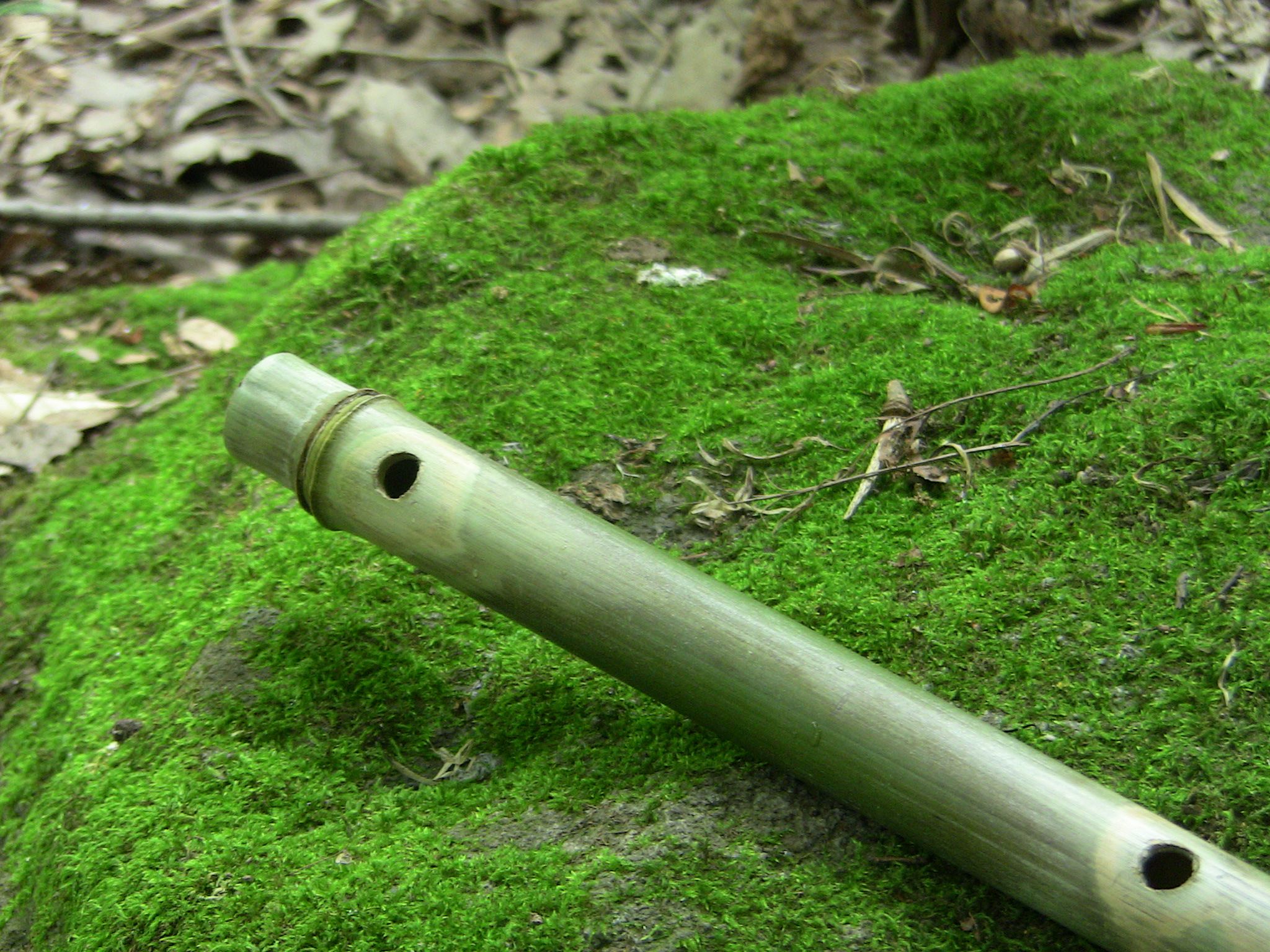 Make 4 Easy Bamboo Flutes for Free! : 7 Steps (with Pictures ...