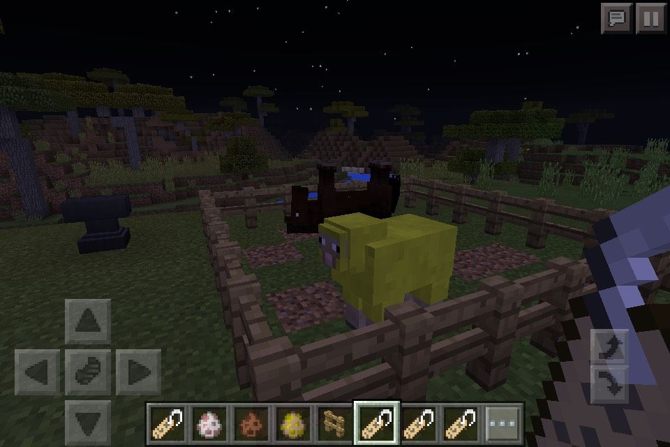 Minecraft Nametag Secrets : 4 Steps - Instructables