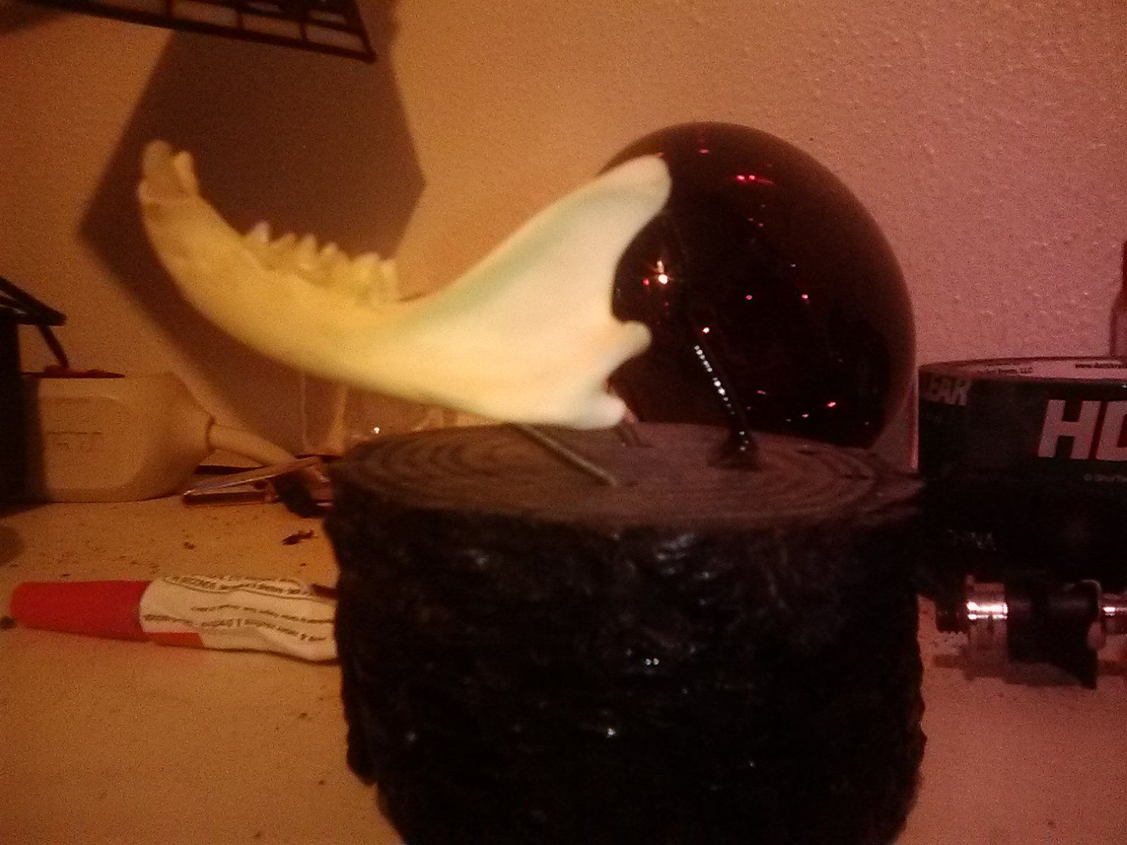 DIY Skull Mount With Reclaimed Materials : 6 Steps (with Pictures ...