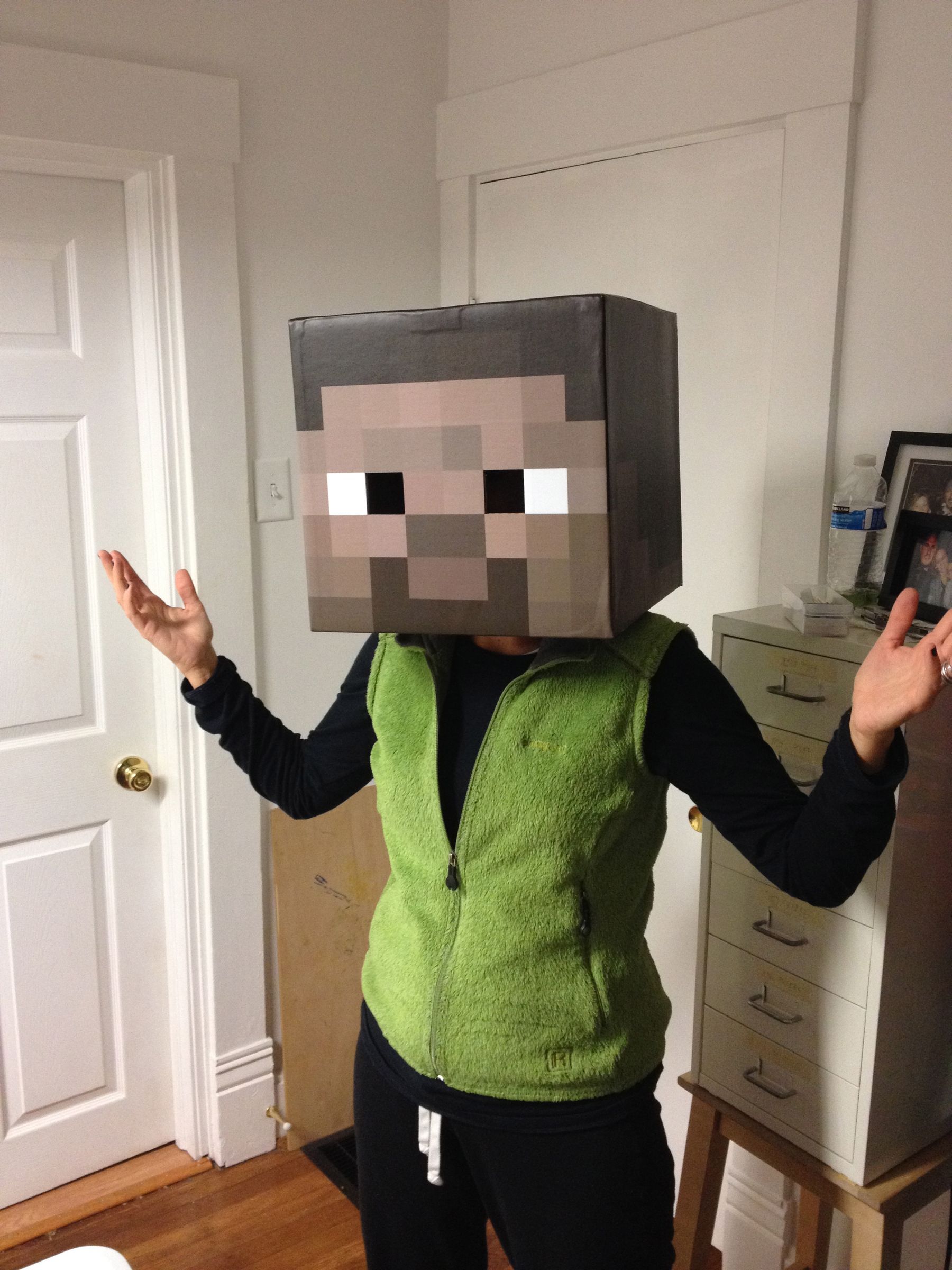 Minecraft Steve Stable Head Build : 10 Steps - Instructables