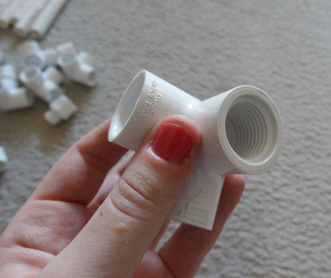 Raising Giant Silk Moths : 15 Steps (with Pictures) - Instructables