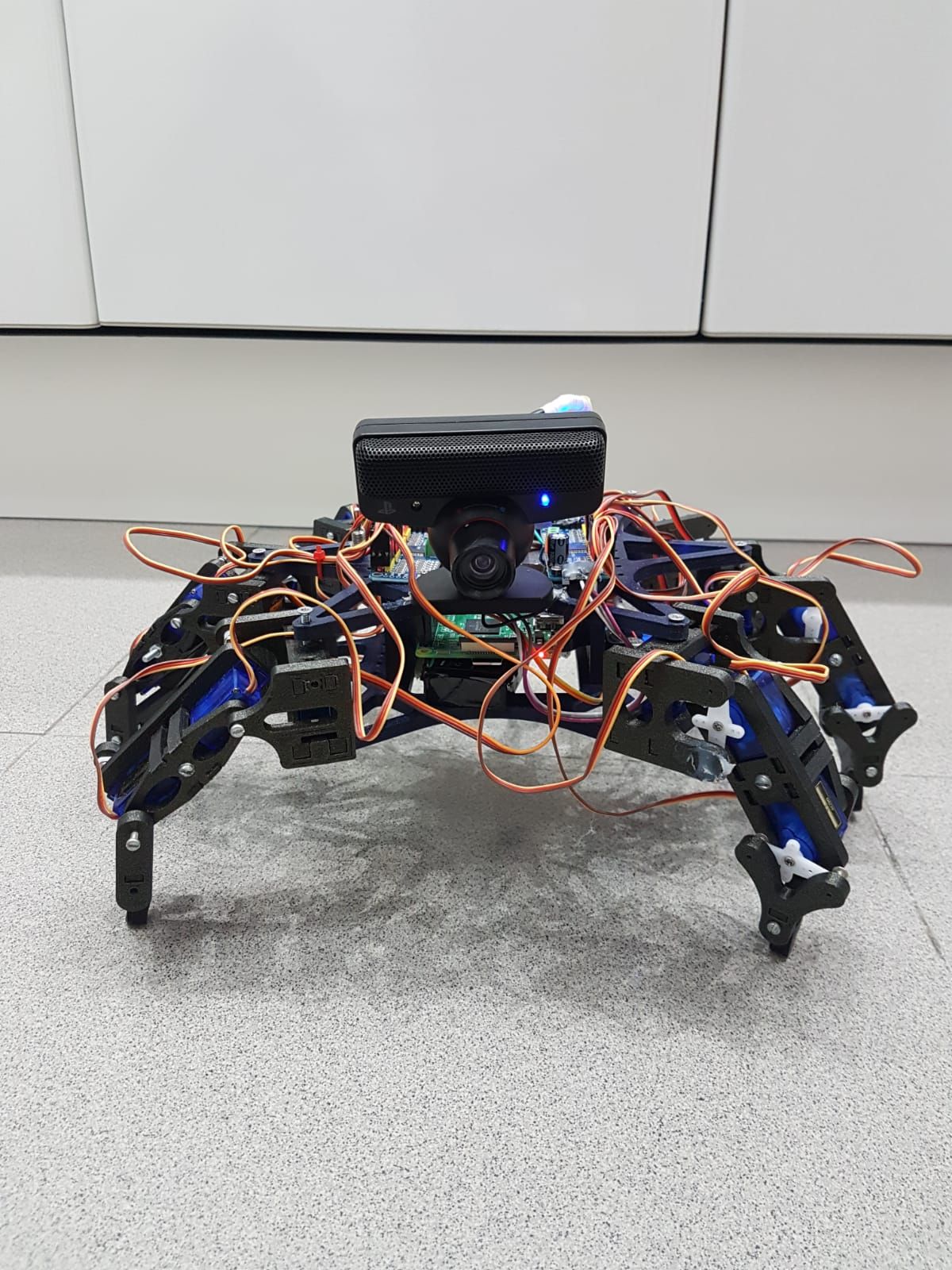 HexaWalker : 5 Steps - Instructables