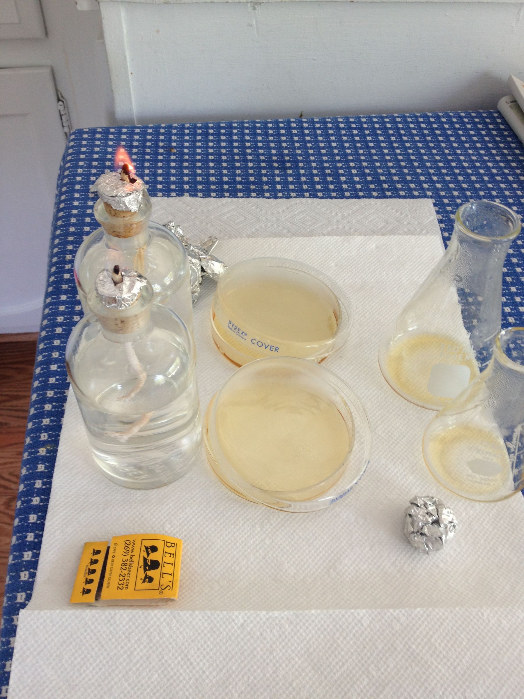 How to Make Solid Culture Medium Plates for Yeast Culture : 8 Steps ...