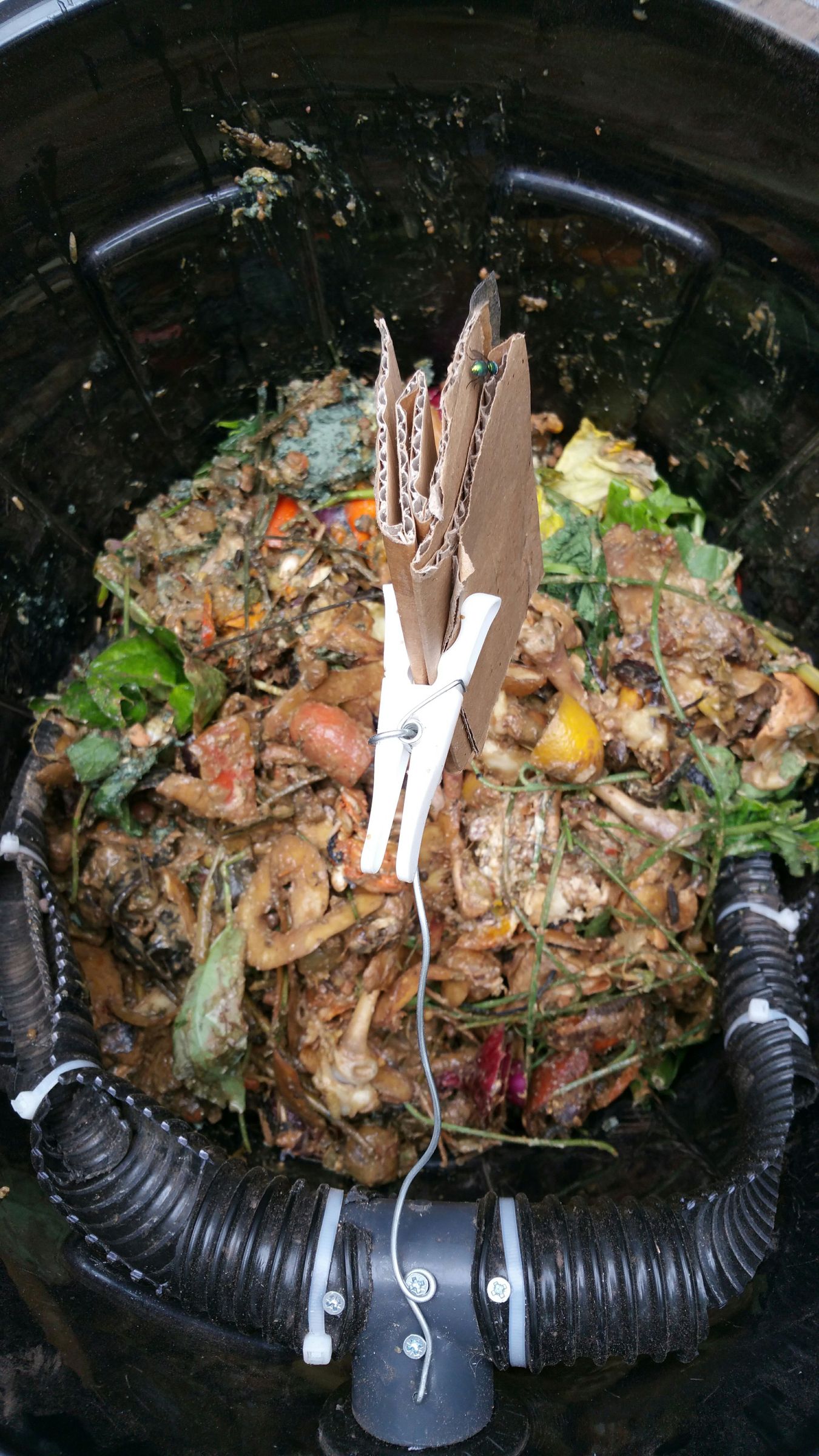 Fly Farm Box. Maggot Box. : 8 Steps (with Pictures) - Instructables