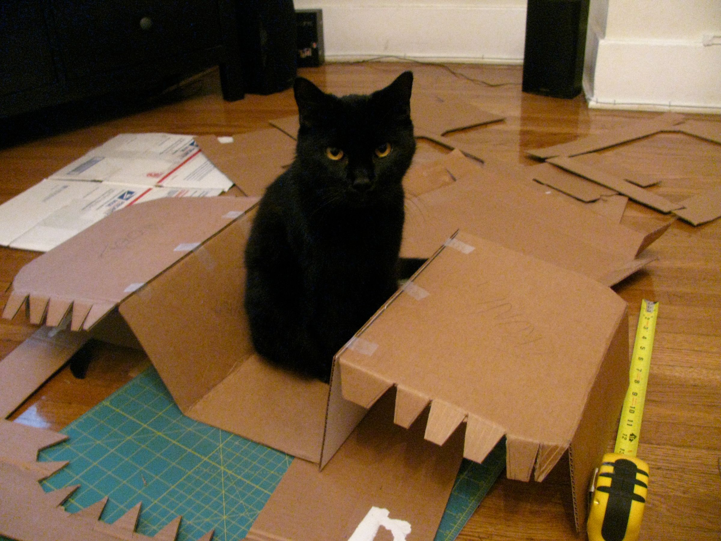 Cardboard Kitty Convertible : 9 Steps (with Pictures) - Instructables