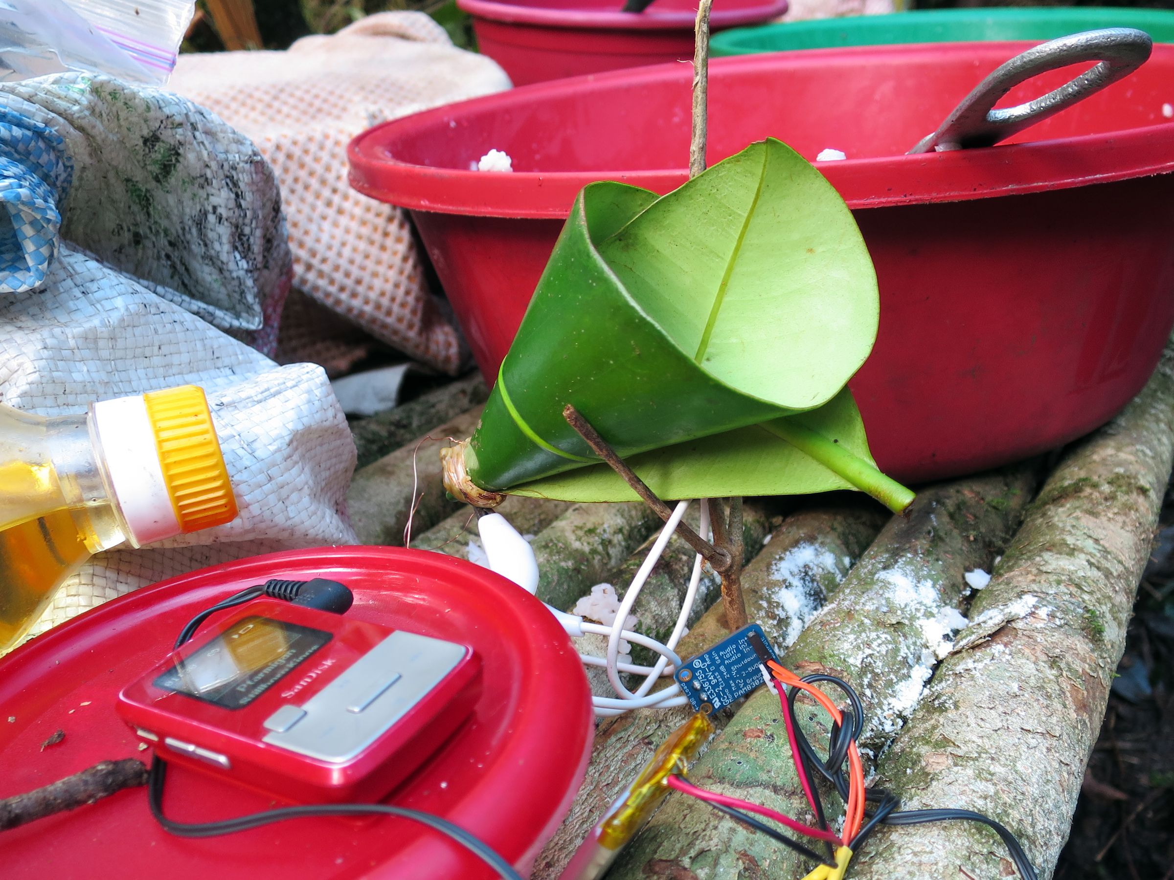 Jungle Speakers : 7 Steps (with Pictures) - Instructables