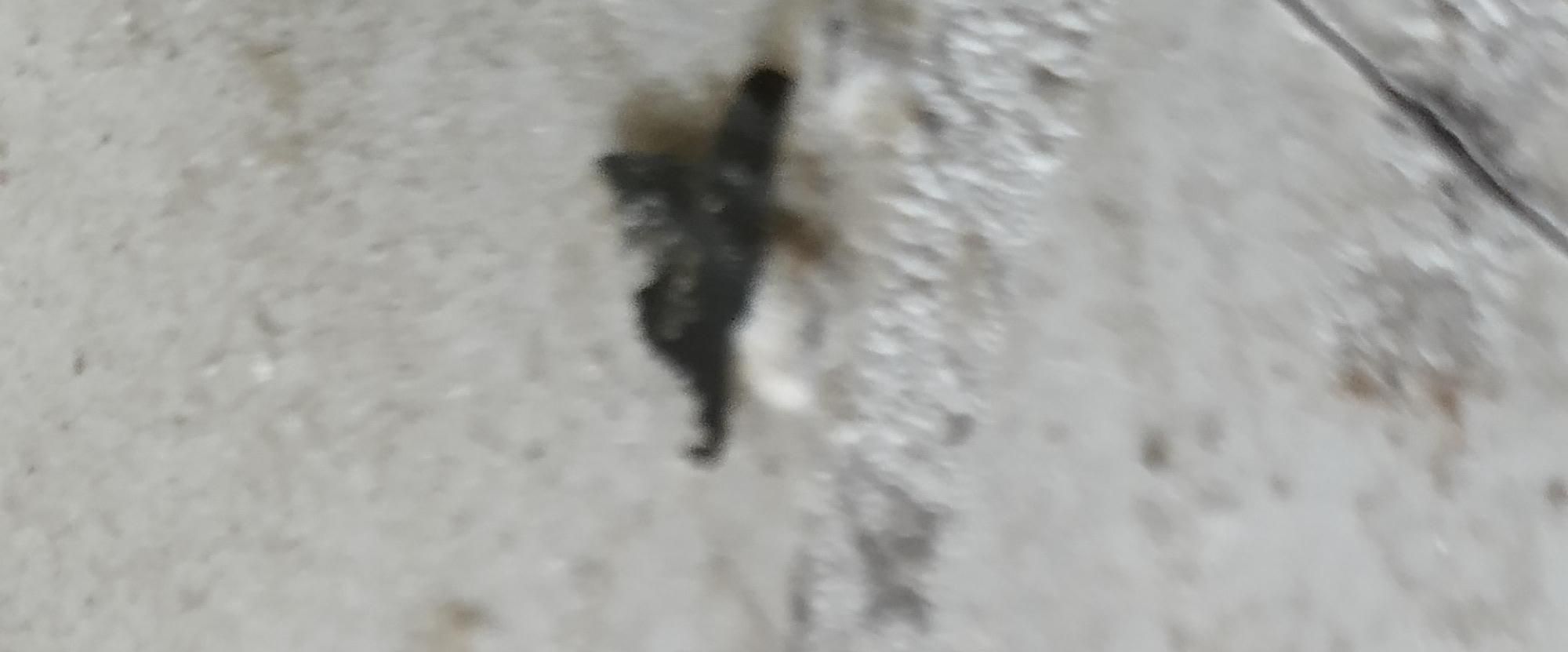 How to Repair Rusty Holes : 5 Steps - Instructables