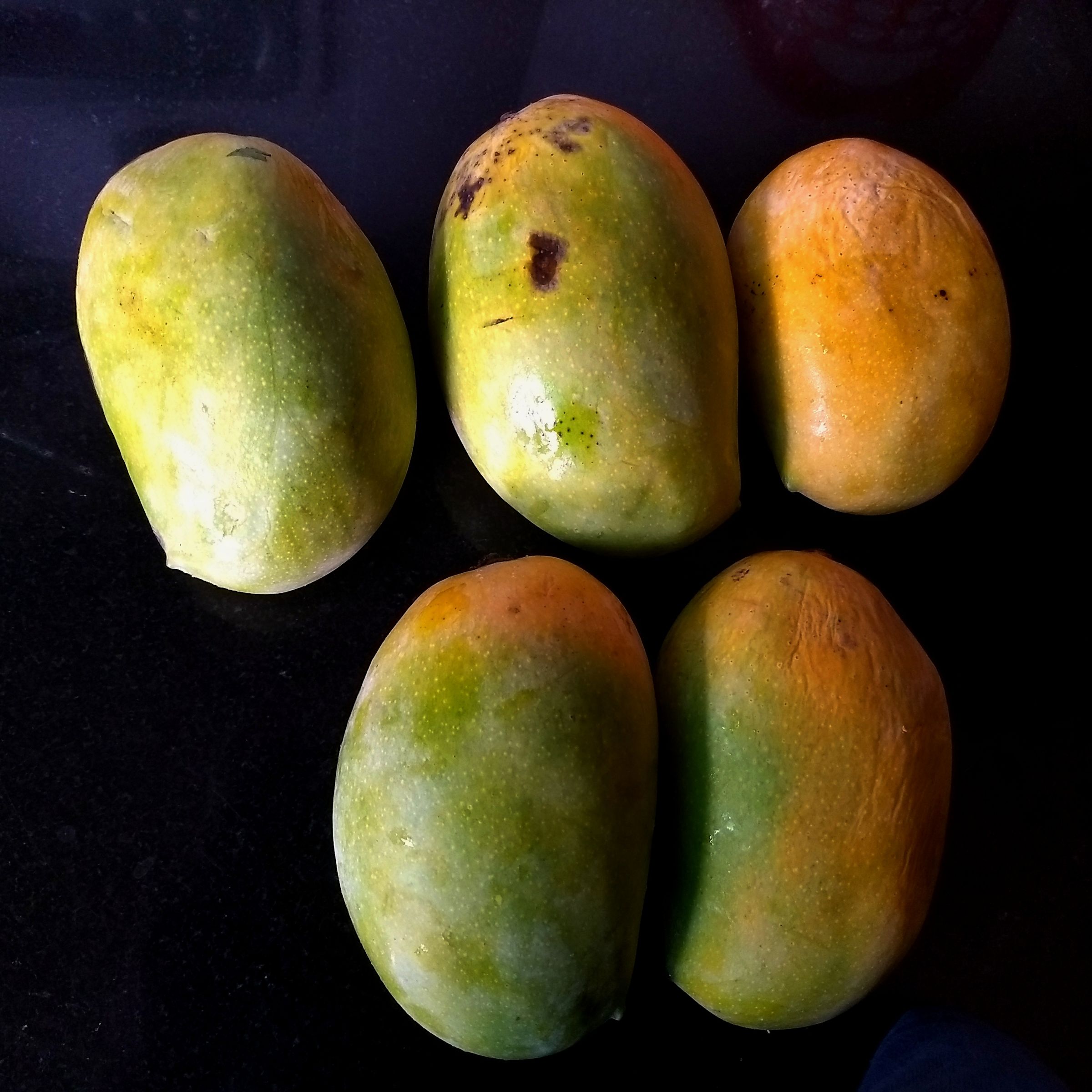 Sun Dried Mango Fruit Leather : 5 Steps (with Pictures) - Instructables