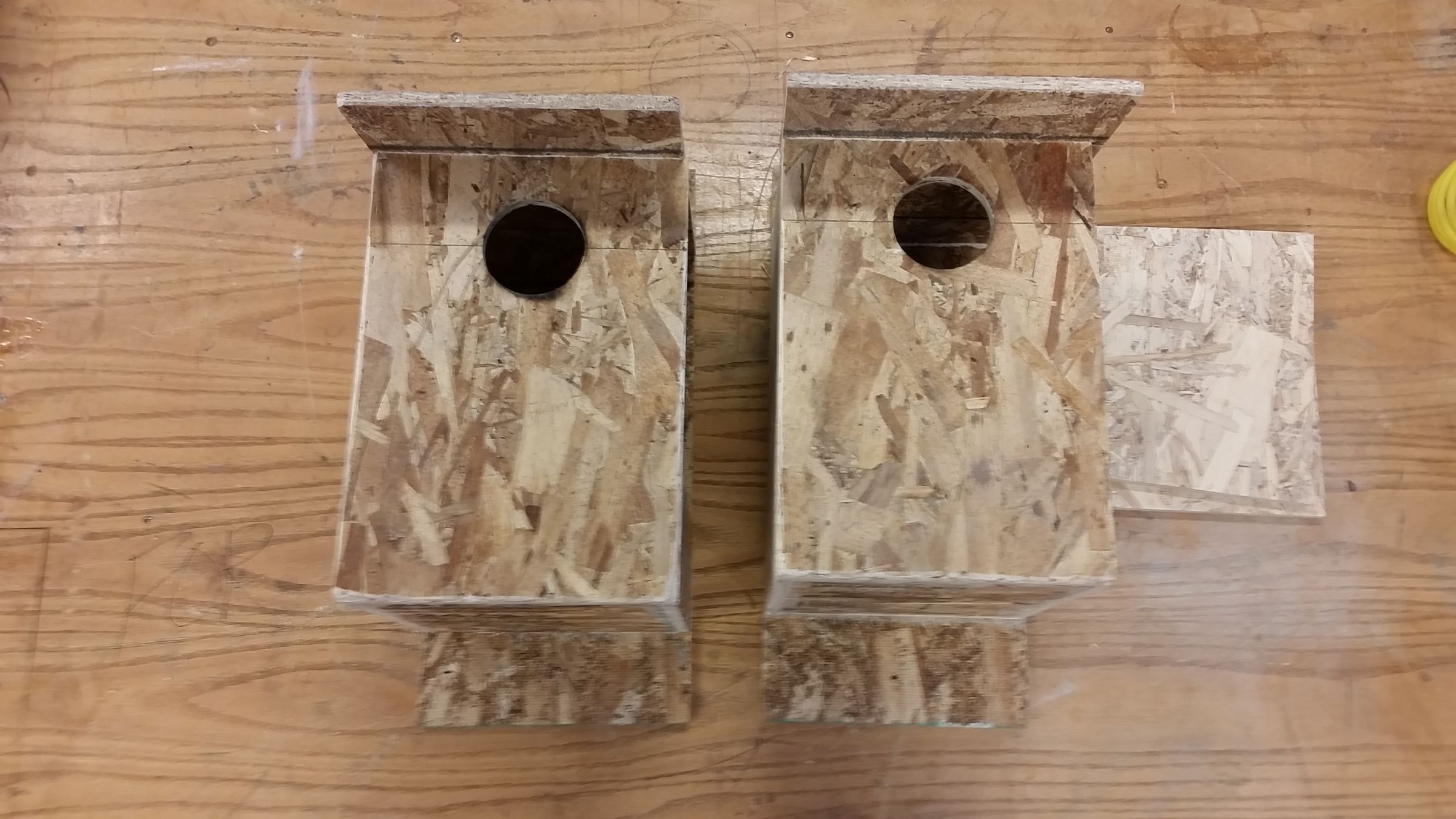 American Kestrel Nest Box : 22 Steps (with Pictures) - Instructables