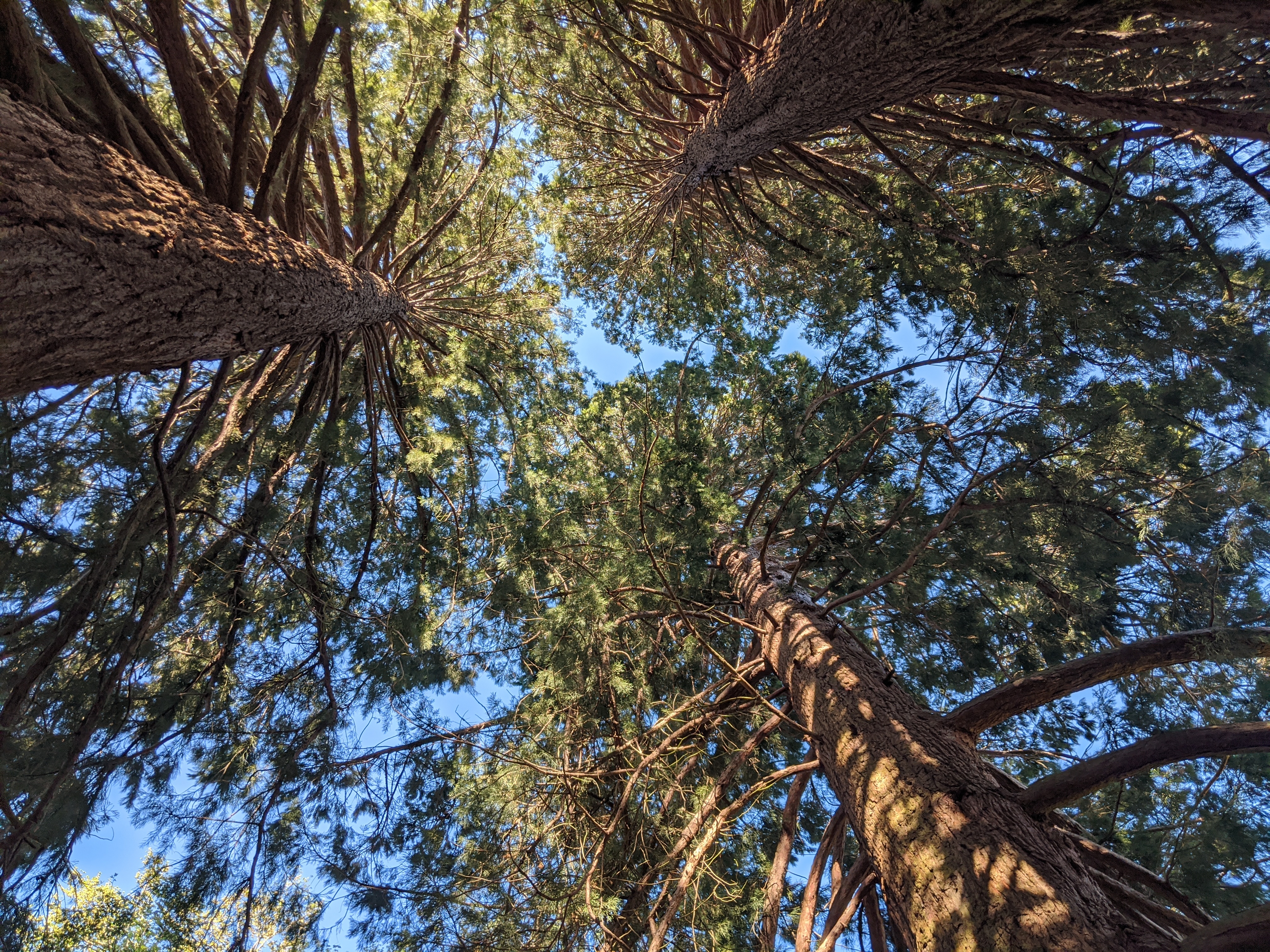 Tubular Tree : 10 Steps - Instructables