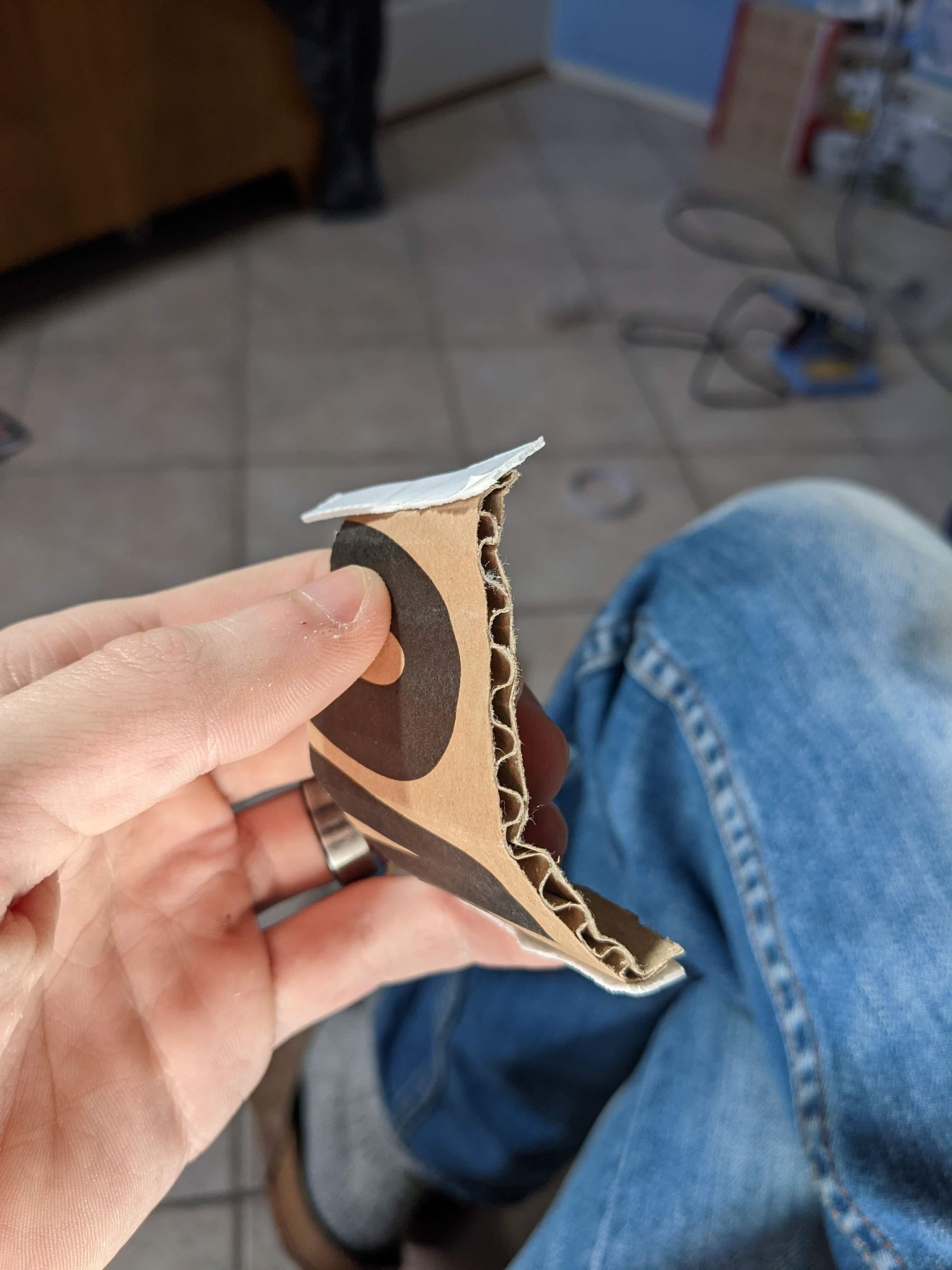 The "Rare Vogel" Birdhouse Controller : 11 Steps (with Pictures ...