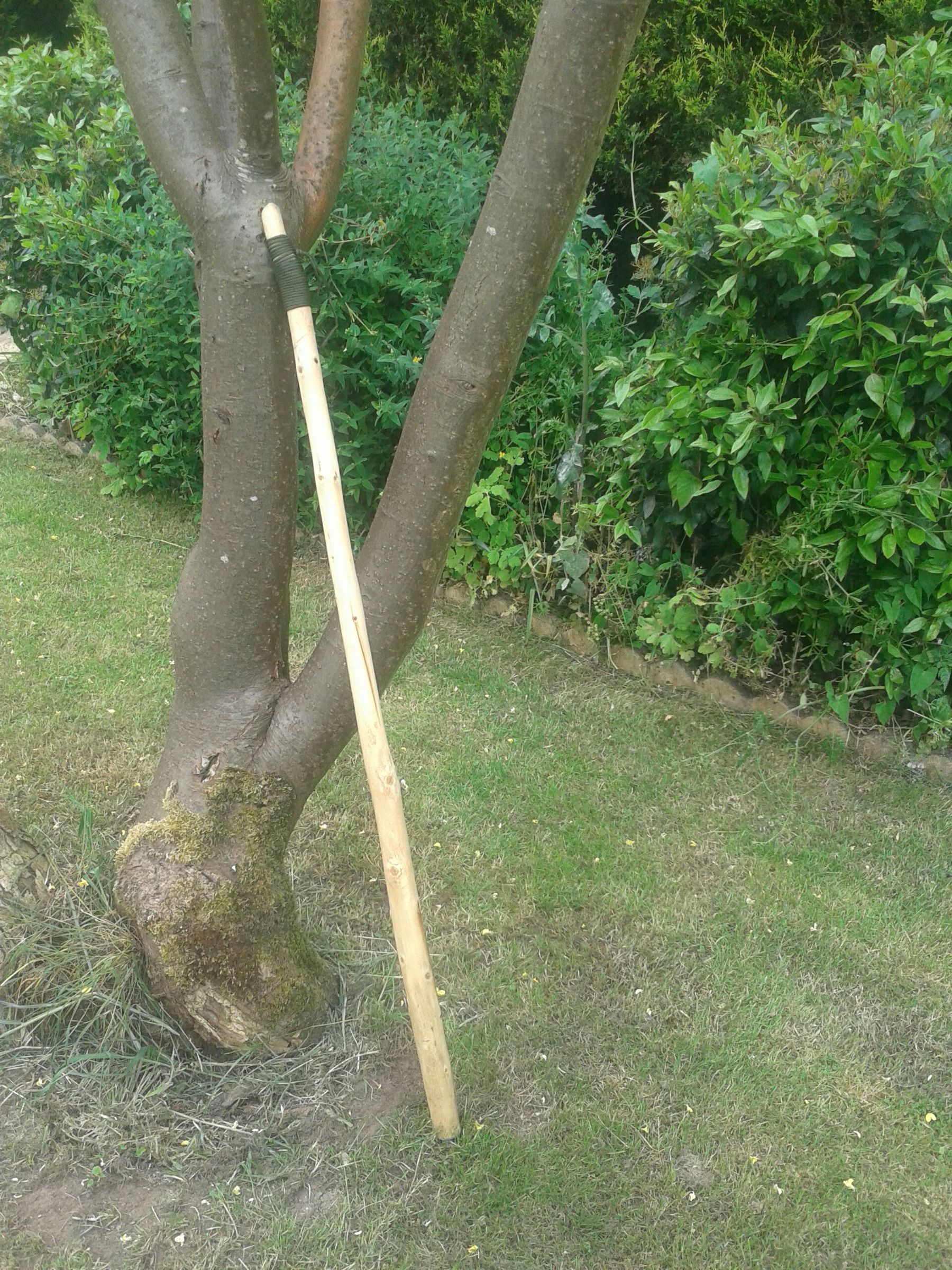 Christmas Tree Hiking Staff : 5 Steps - Instructables