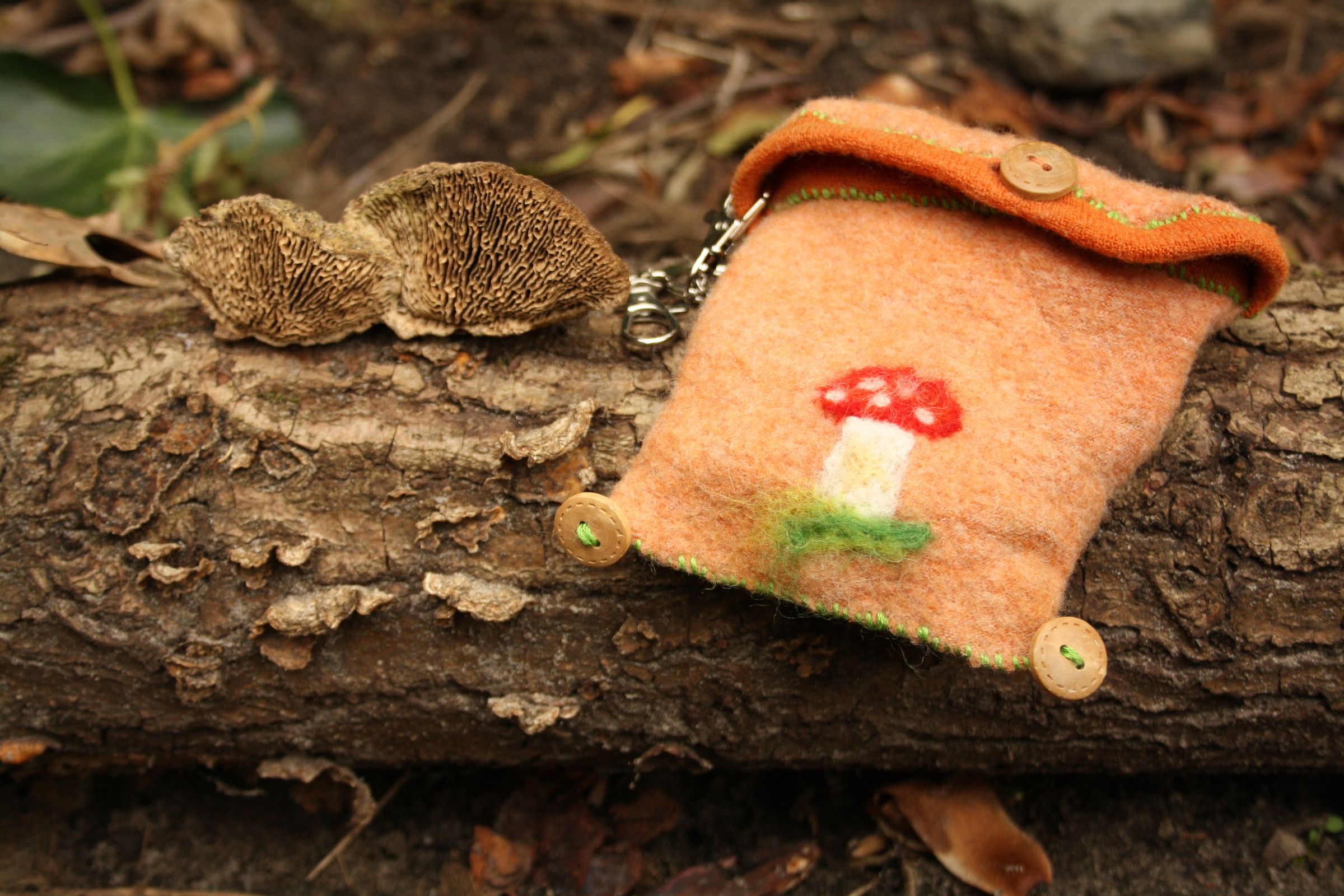Mushroom Determination Kit, Pocket Sized and Made From Scrap : 9 Steps ...