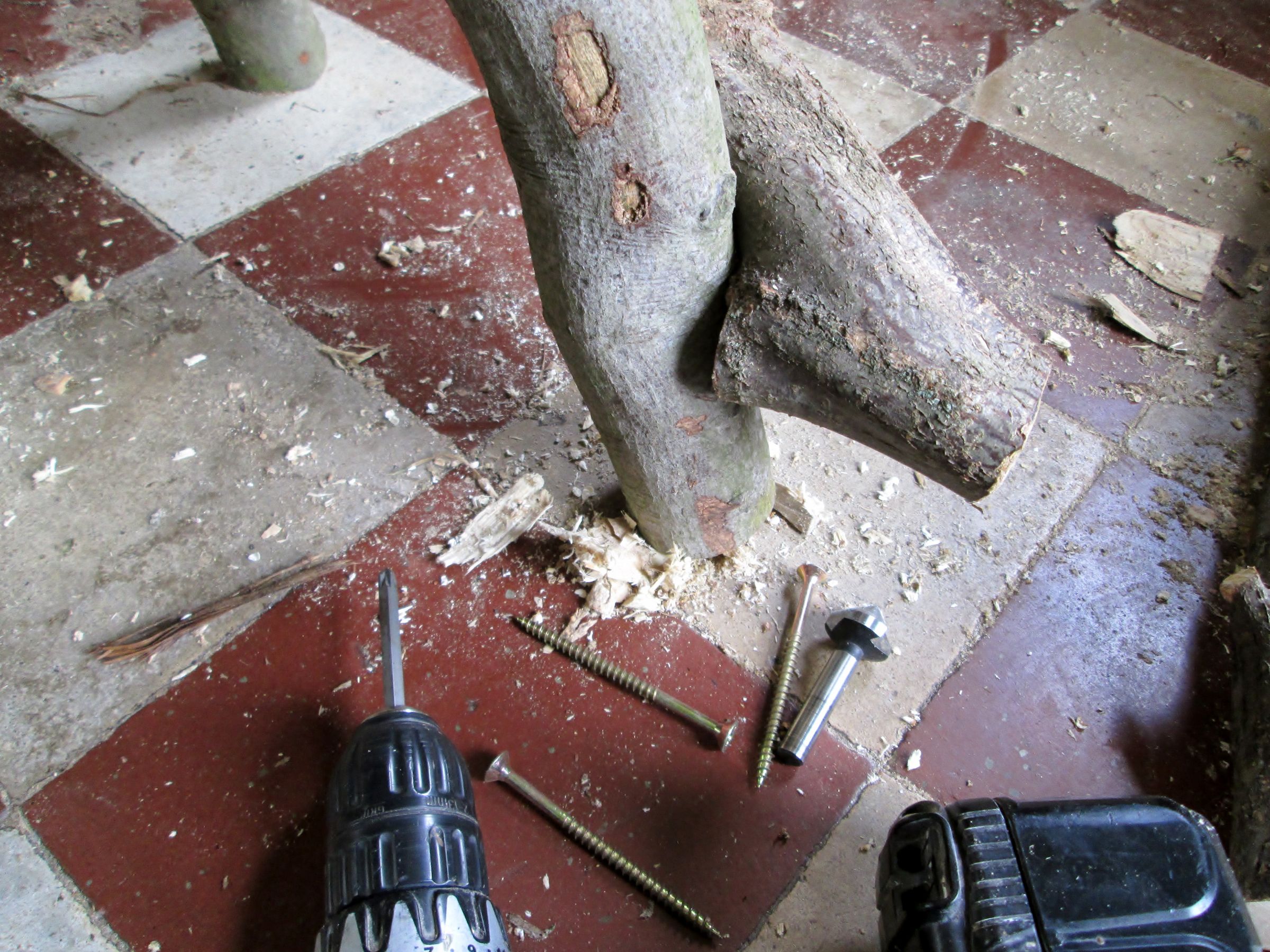 Stump Throne : 5 Steps (with Pictures) - Instructables