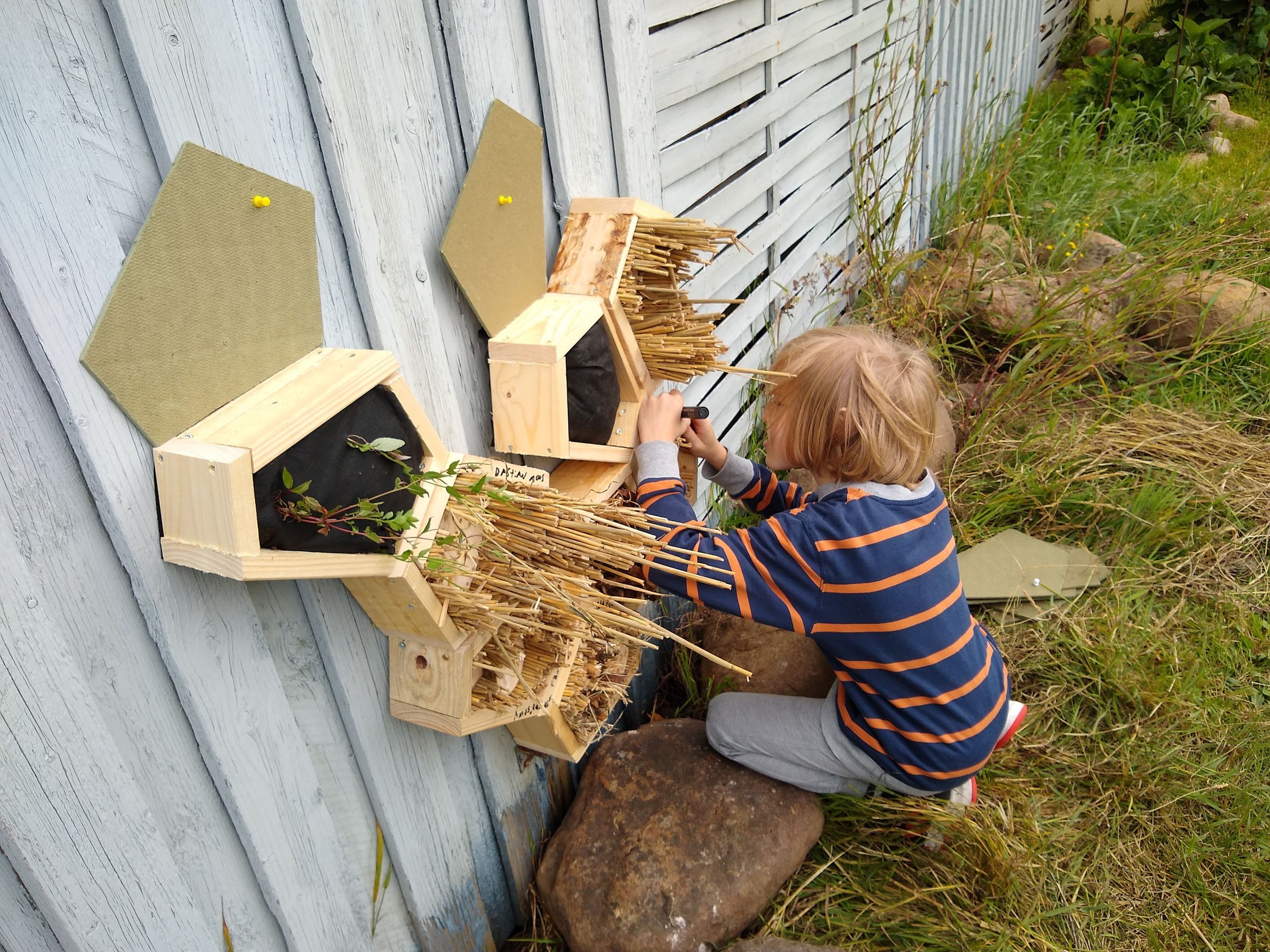 Emergent Insect Hotels : 6 Steps (with Pictures) - Instructables