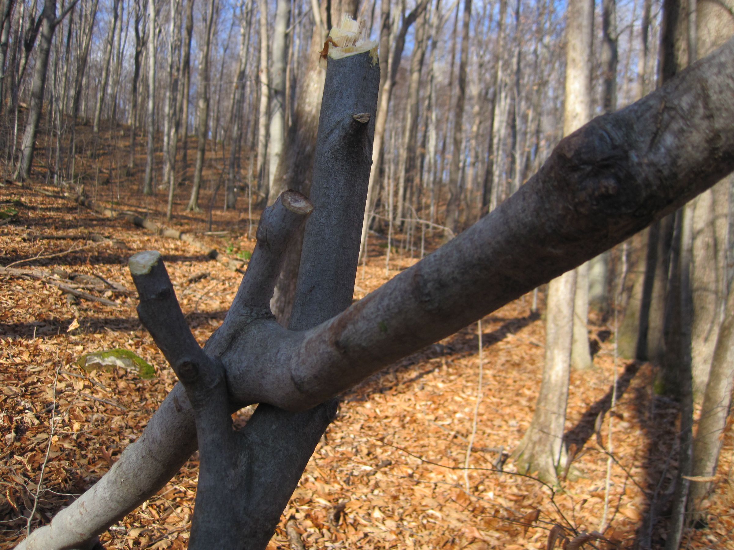 How to Build a Lean Two : 8 Steps (with Pictures) - Instructables