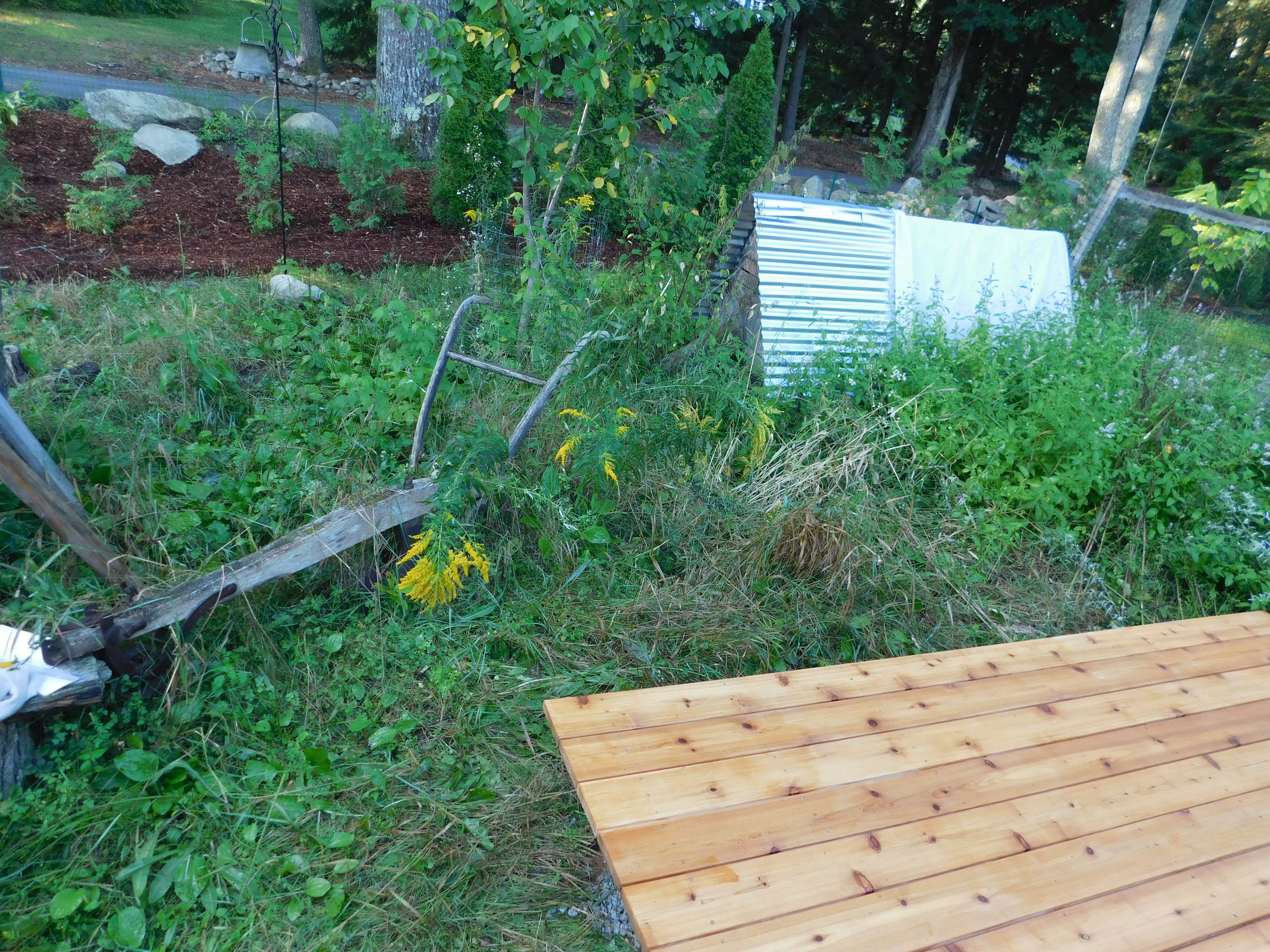 Solarium She Shed & Dancing Deck : 10 Steps (with Pictures) - Instructables