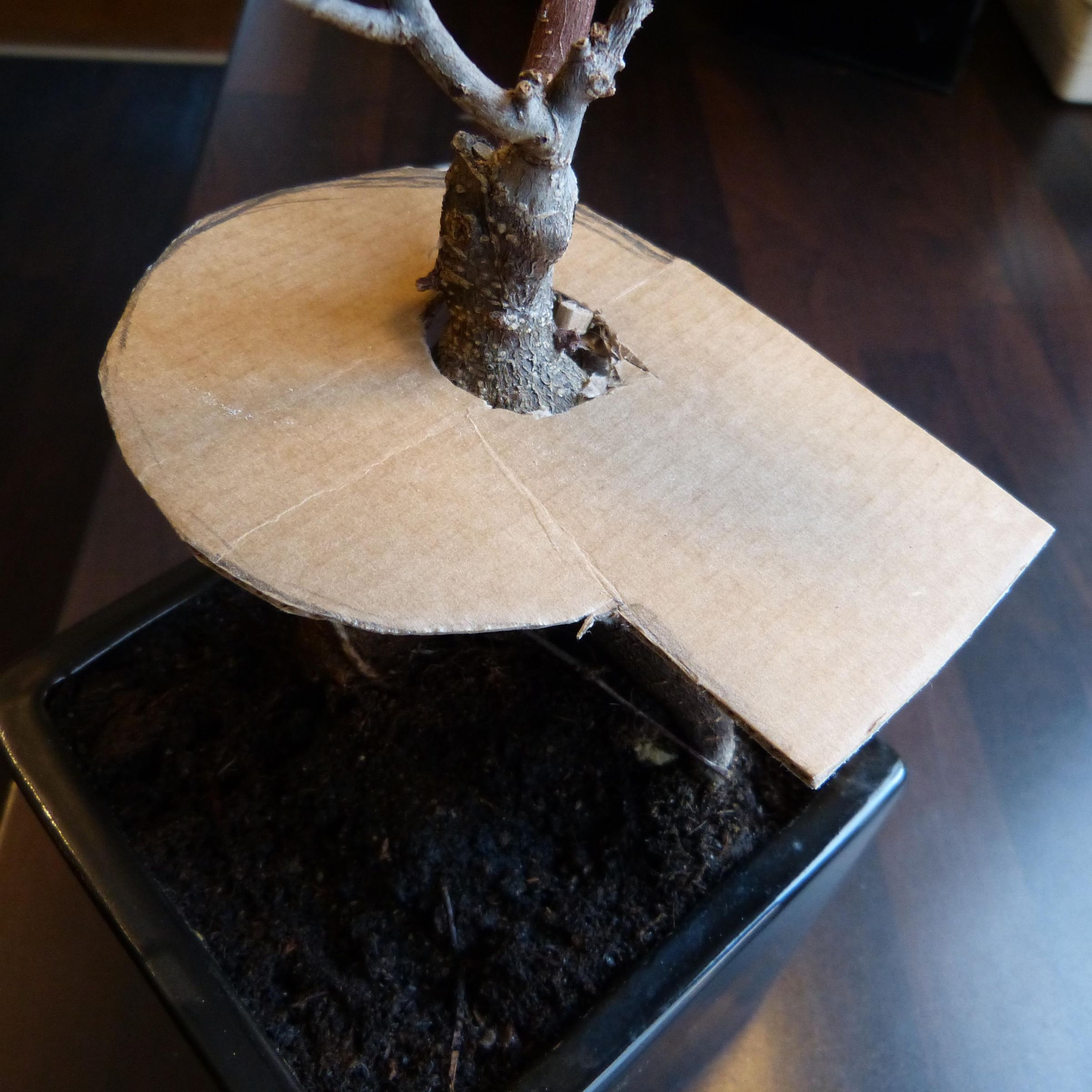 Houseplant Treehouse & Tiny Mouse : 15 Steps (with Pictures ...