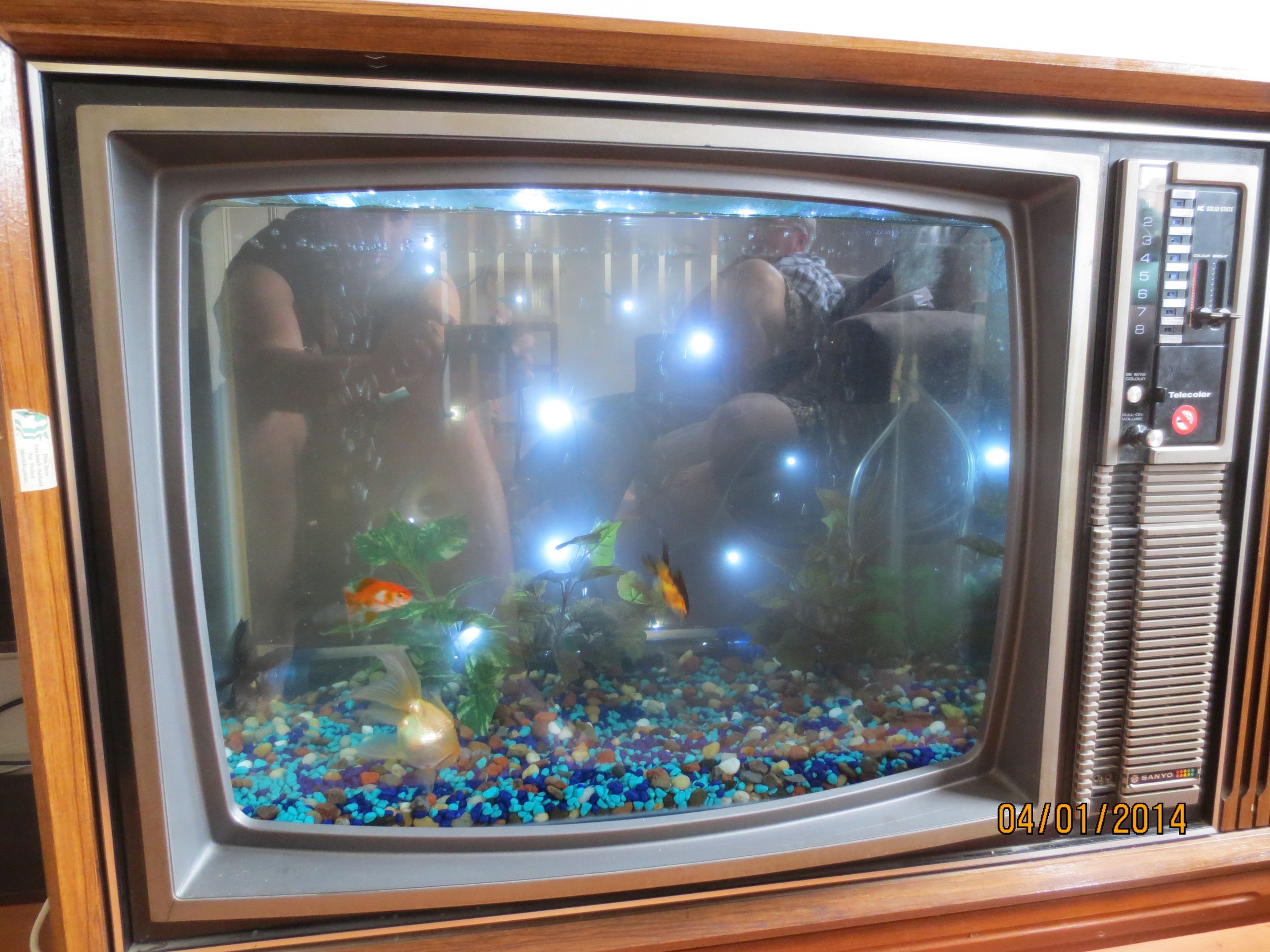 TV Fish Tank \ Aquarium : 5 Steps - Instructables