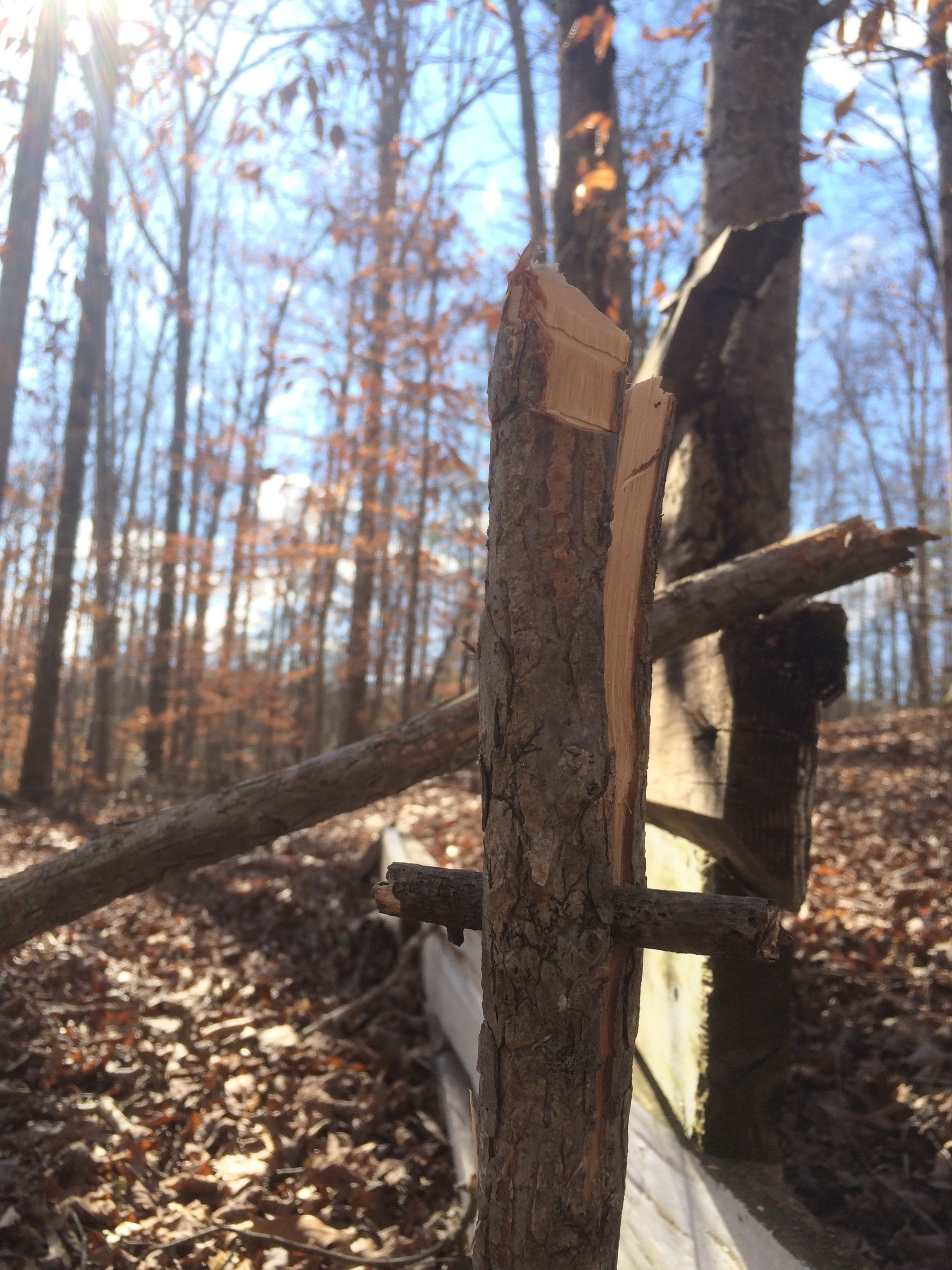 Primitive Spear : 7 Steps (with Pictures) - Instructables