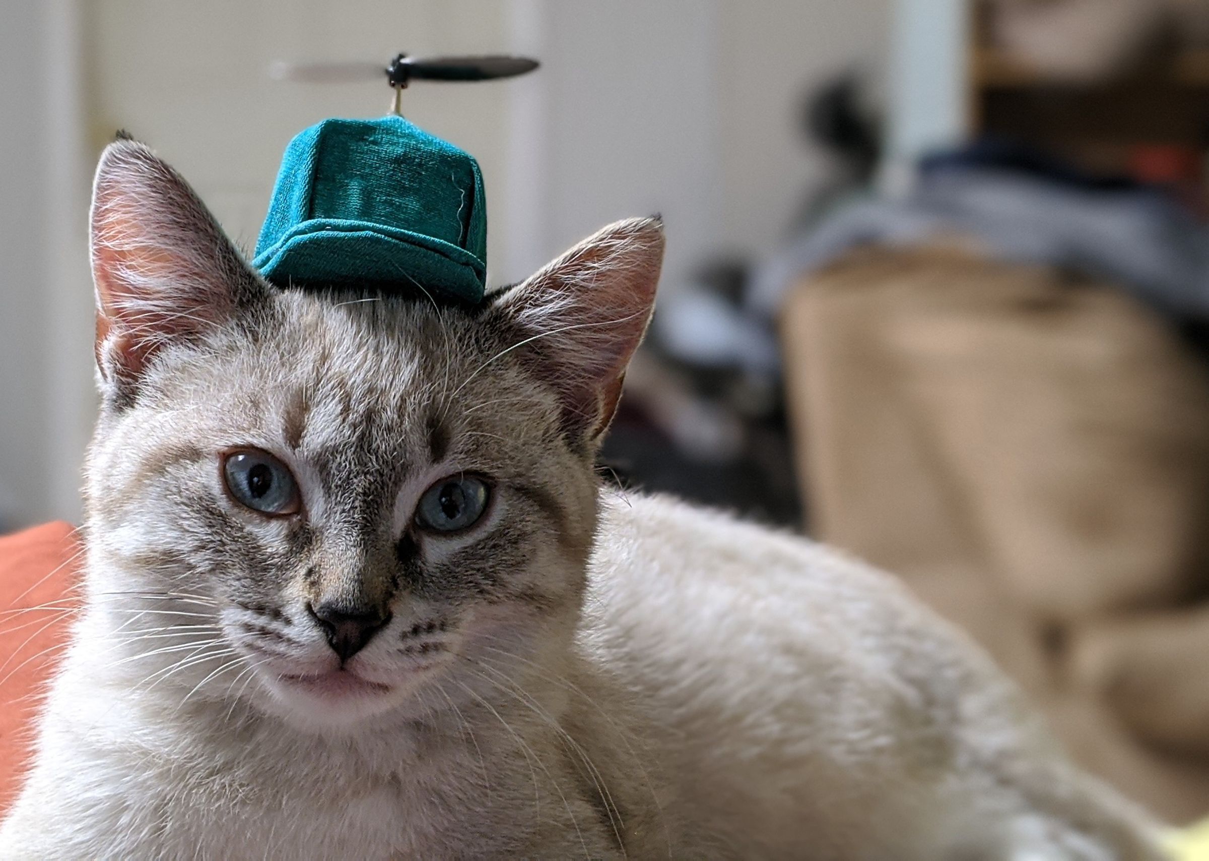 Tiny Hats : 18 Steps (with Pictures) - Instructables