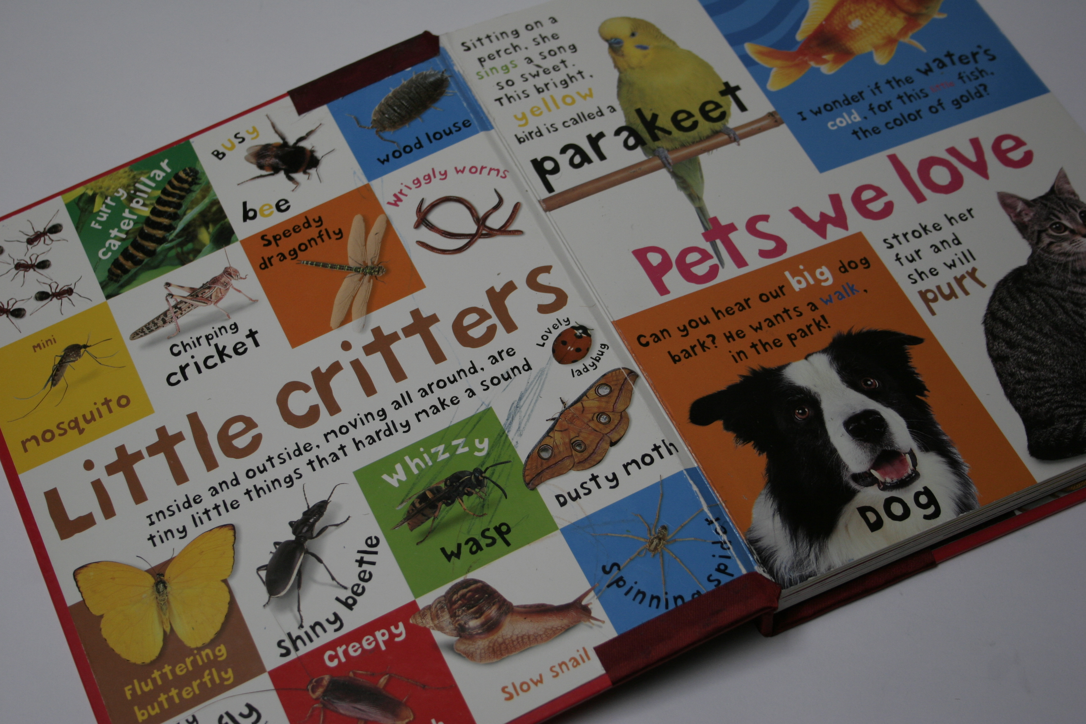 Simple Book Repair : 5 Steps (with Pictures) - Instructables