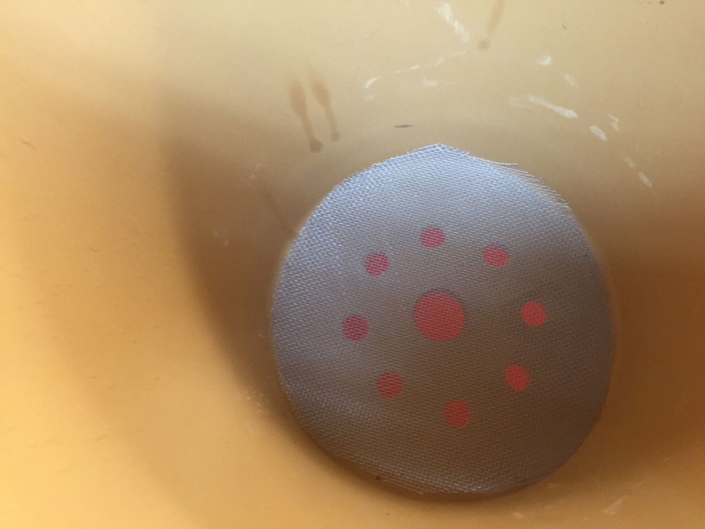 Make Your Own Lye : 8 Steps (with Pictures) - Instructables