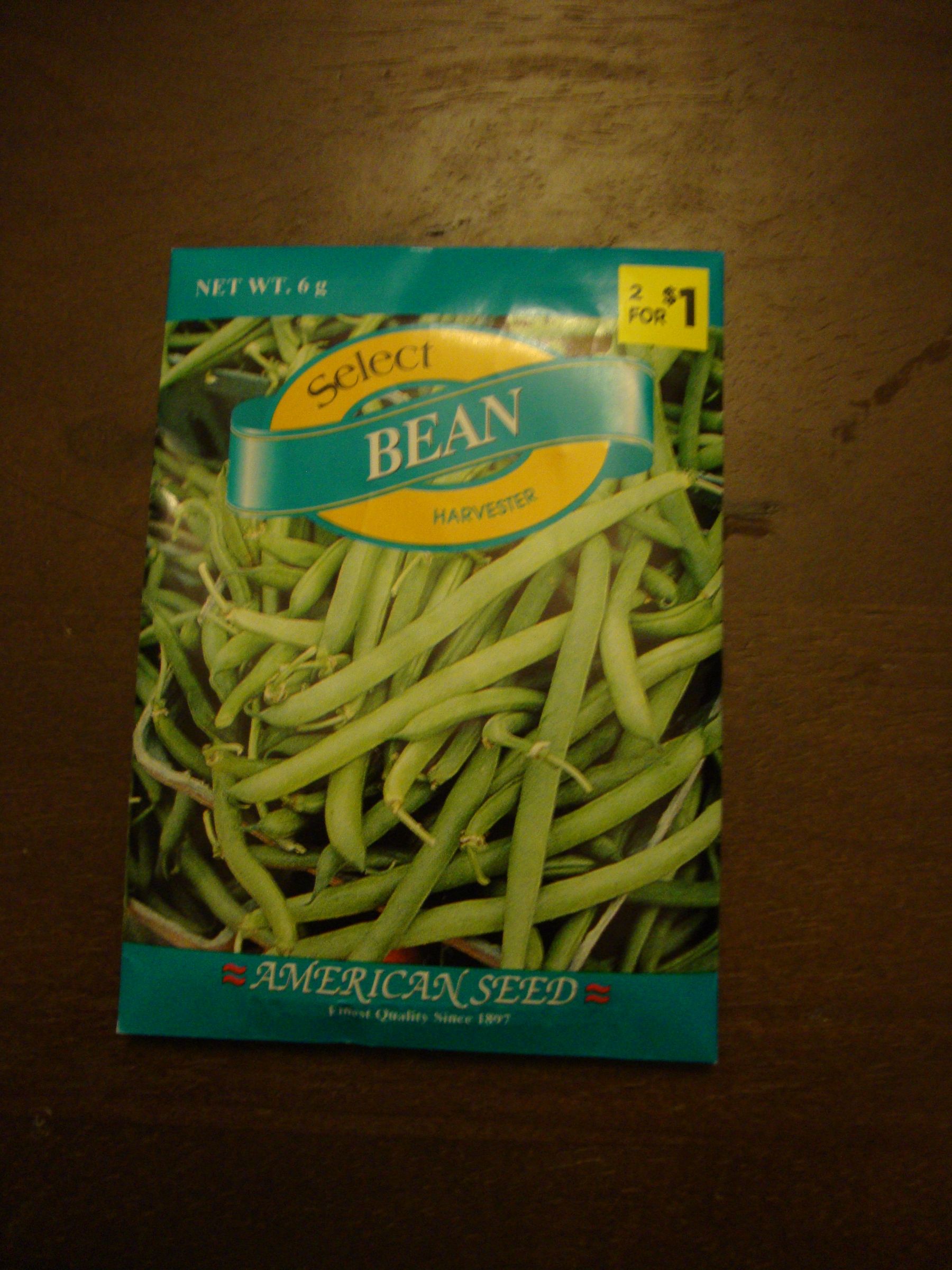 Garden All Year Long With Recycled Paper Seed Strips! : 5 Steps ...