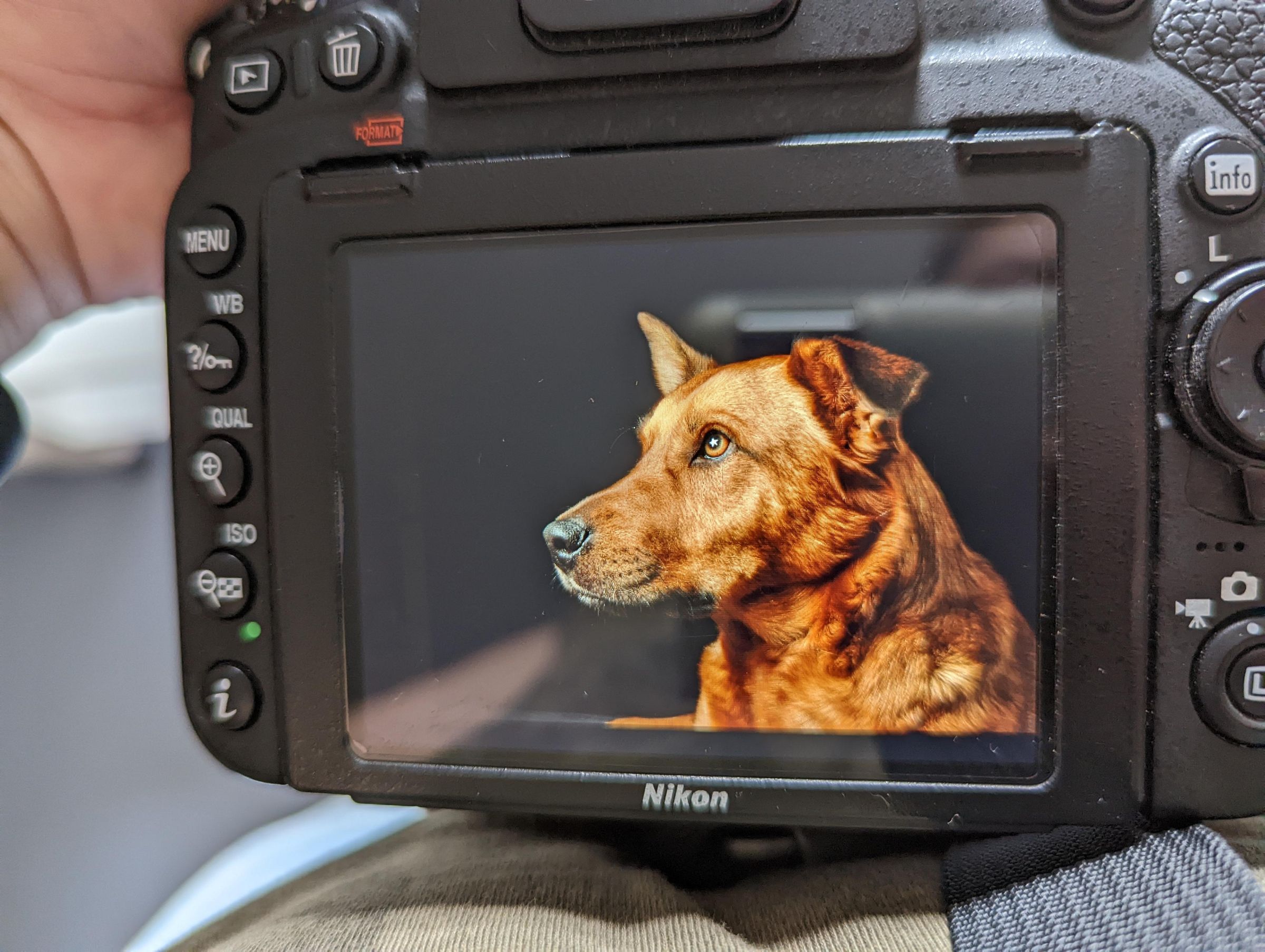 Changing the Shape of Catch Lights in Photography : 7 Steps (with ...