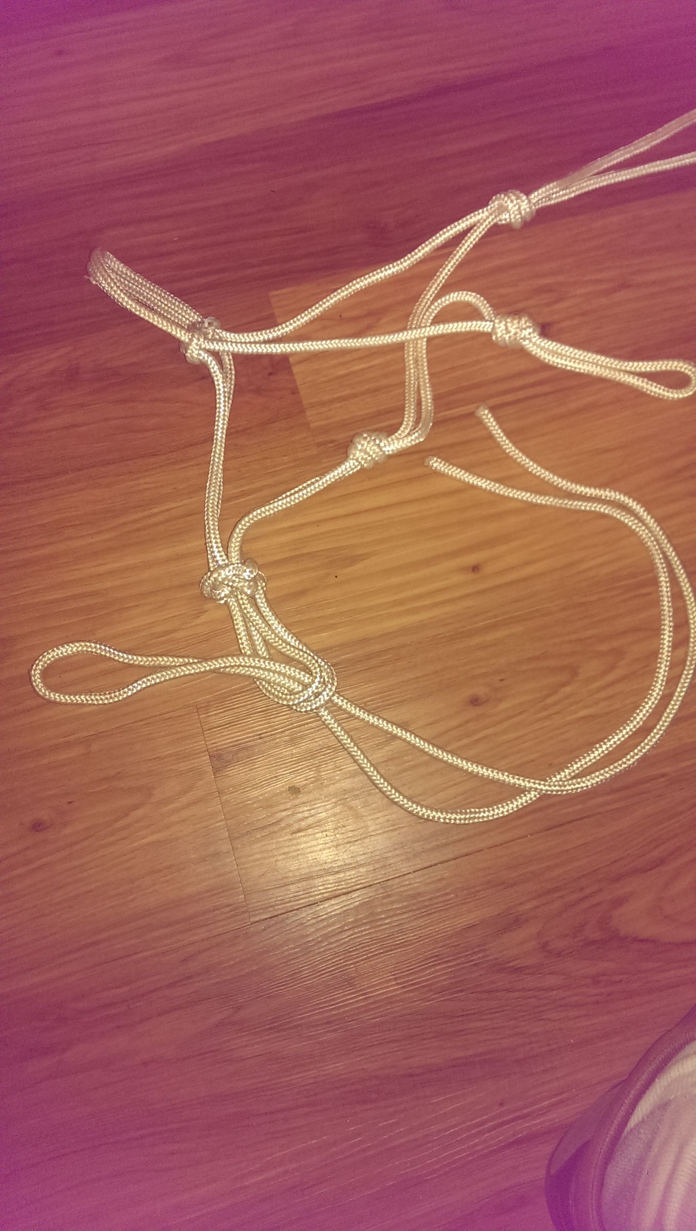 Rope Halter With Fiador : 10 Steps (with Pictures) - Instructables