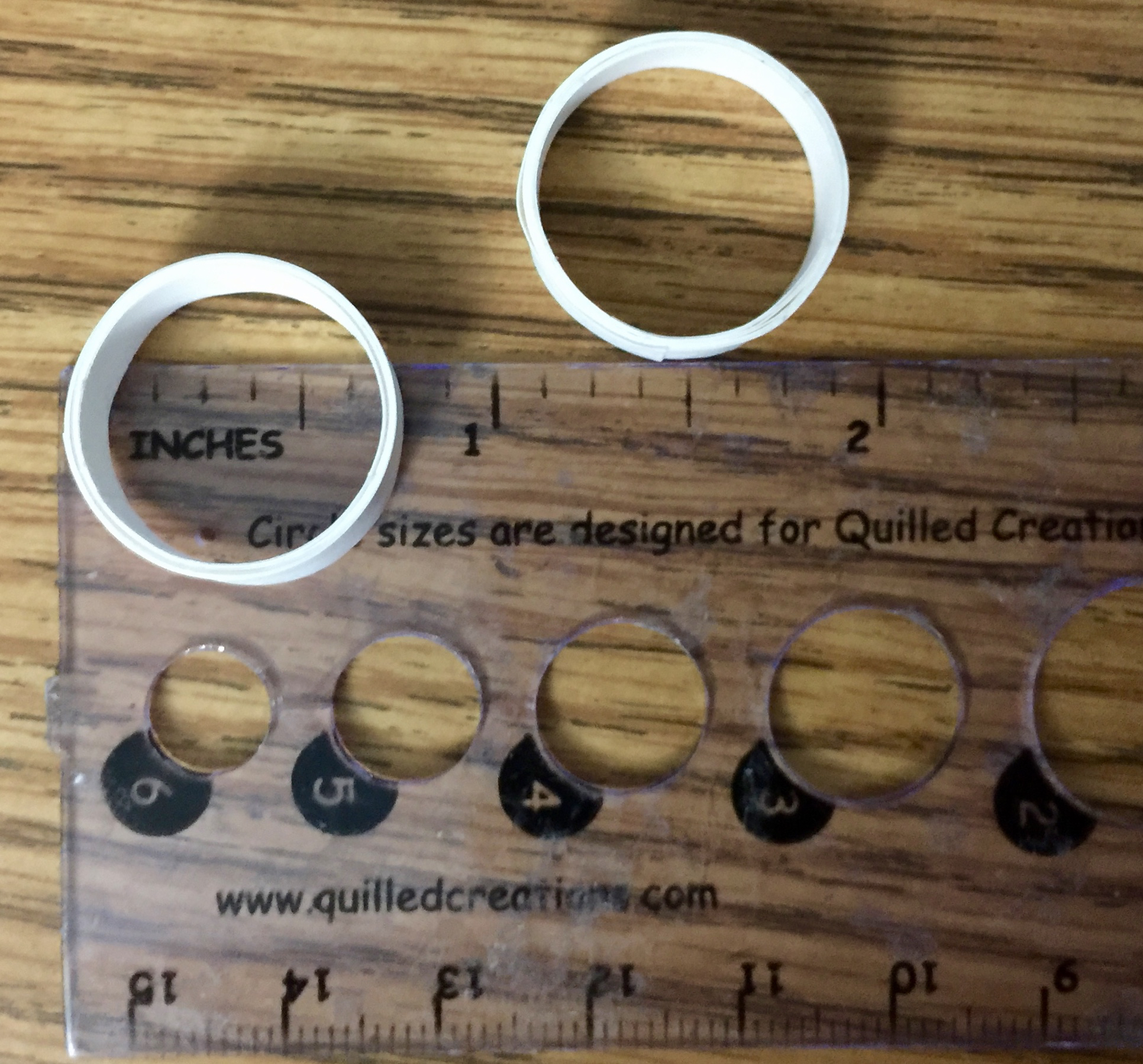 Quilled Paper Dandelion Poof : 19 Steps (with Pictures) - Instructables