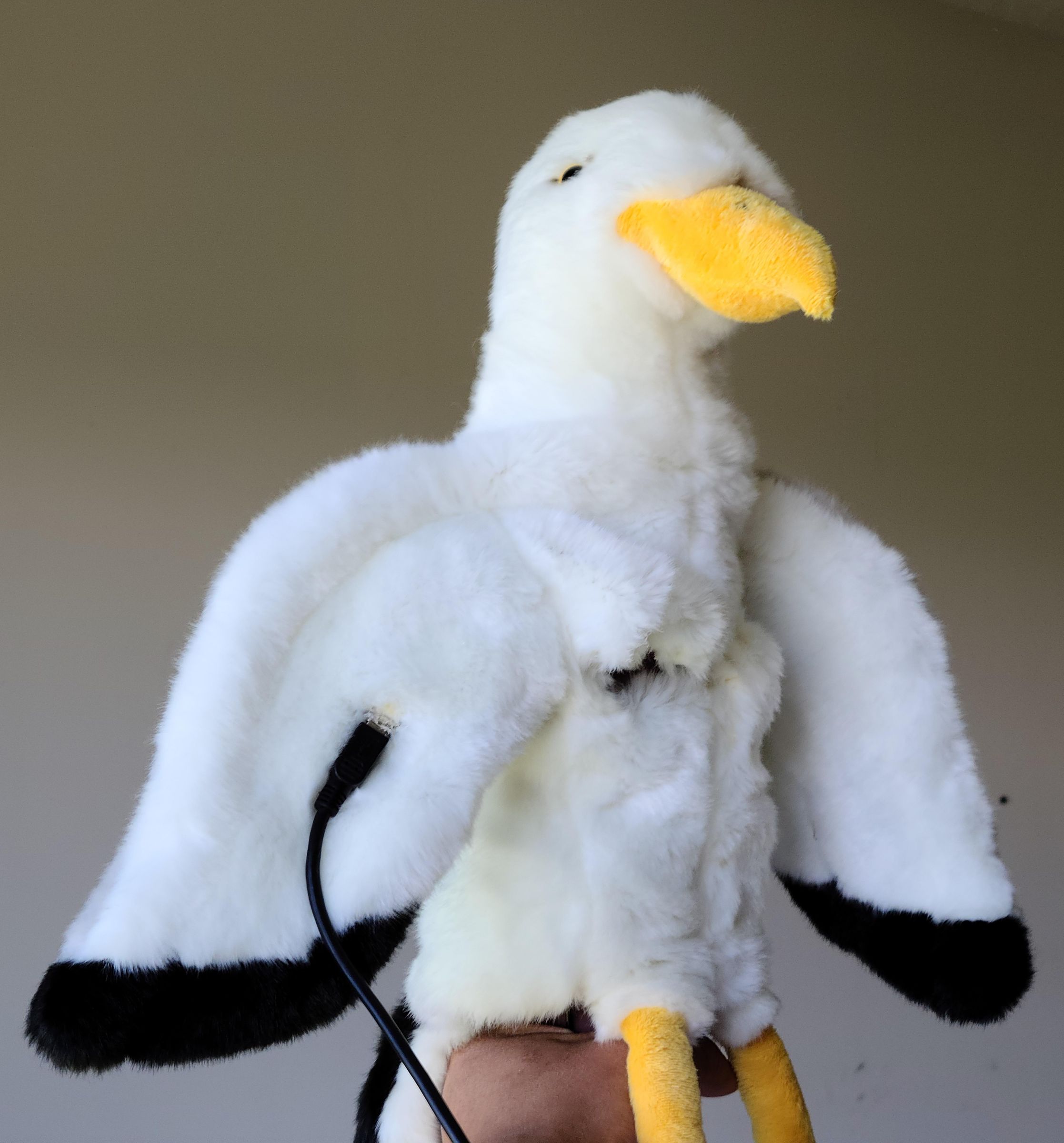 Cyborg Crafts: Sense Magnetic Fields Like a Bird - Sensory Extension ...