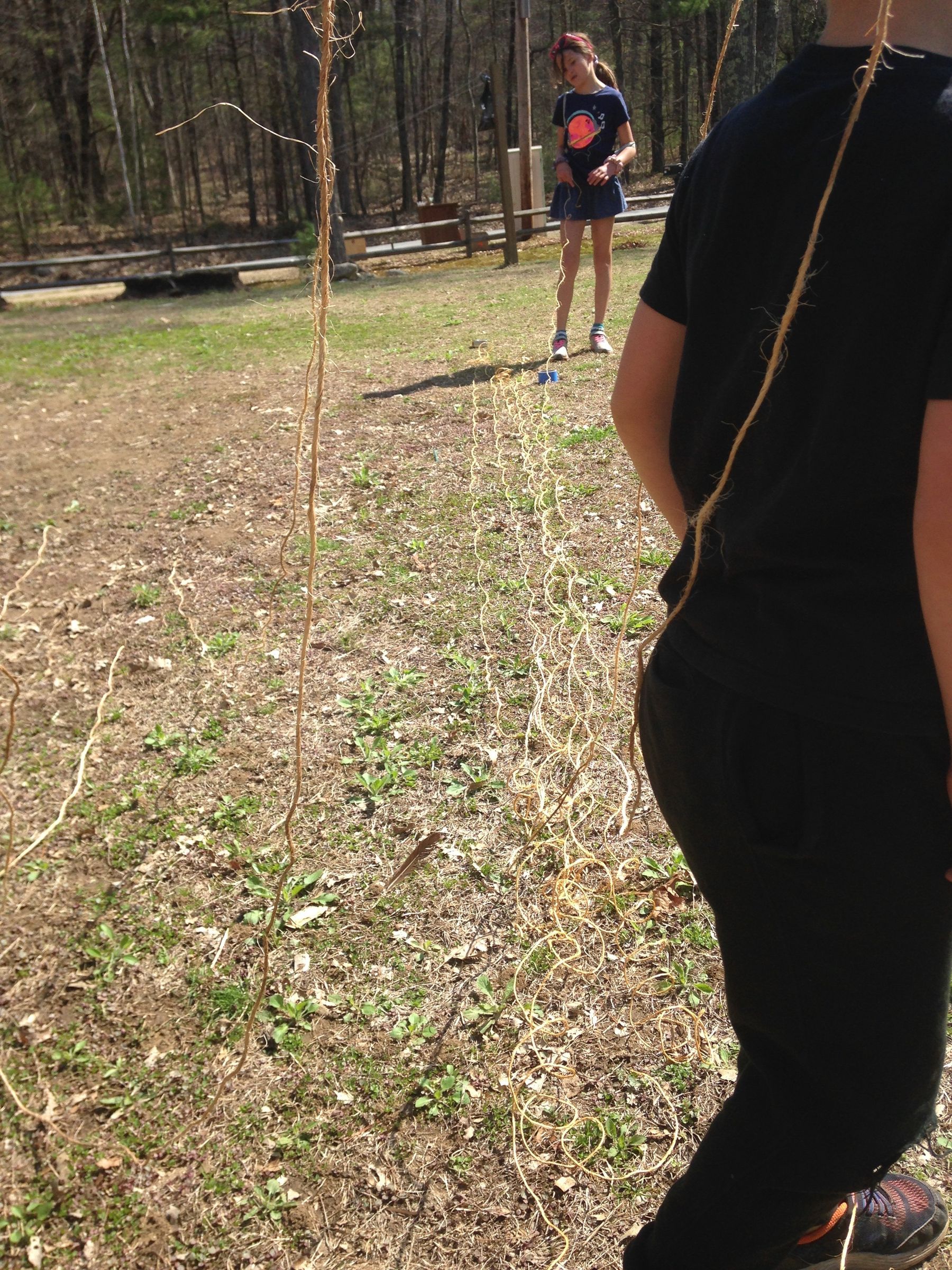 Growing Hops at Home : 9 Steps (with Pictures) - Instructables