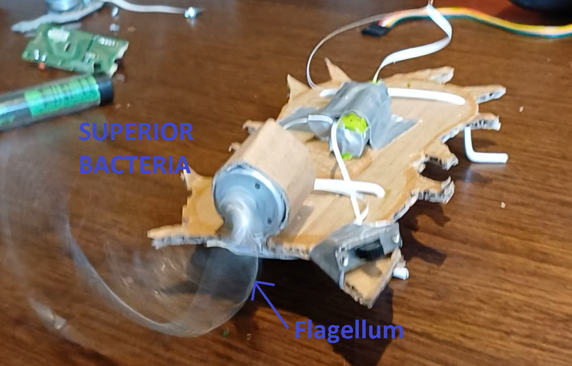 Model of Prokaryotic Bacteria - DC Motor Flagellum : 4 Steps (with ...