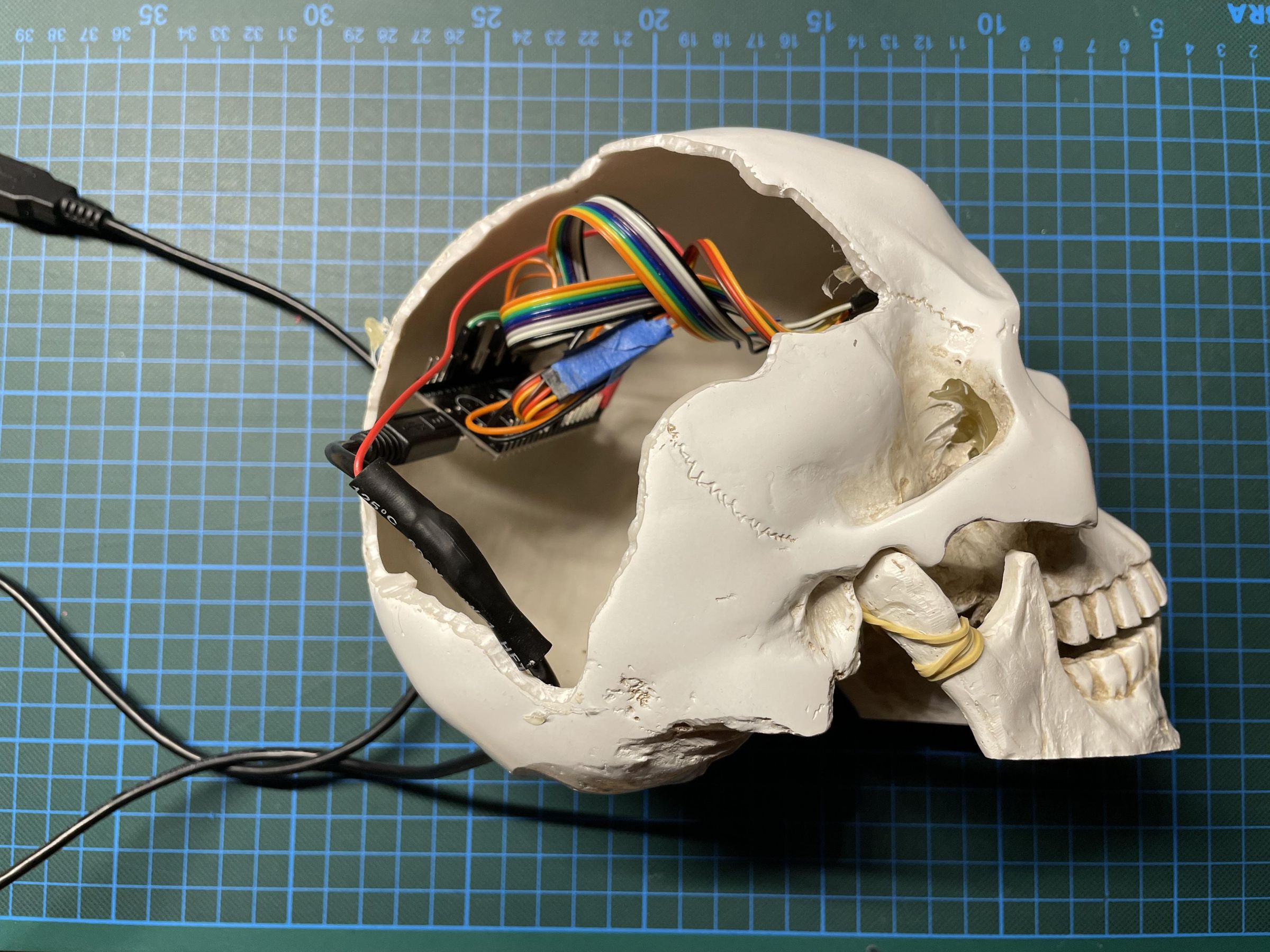 Uncanny Eyes Halloween Skull Animatronic : 4 Steps (with Pictures ...