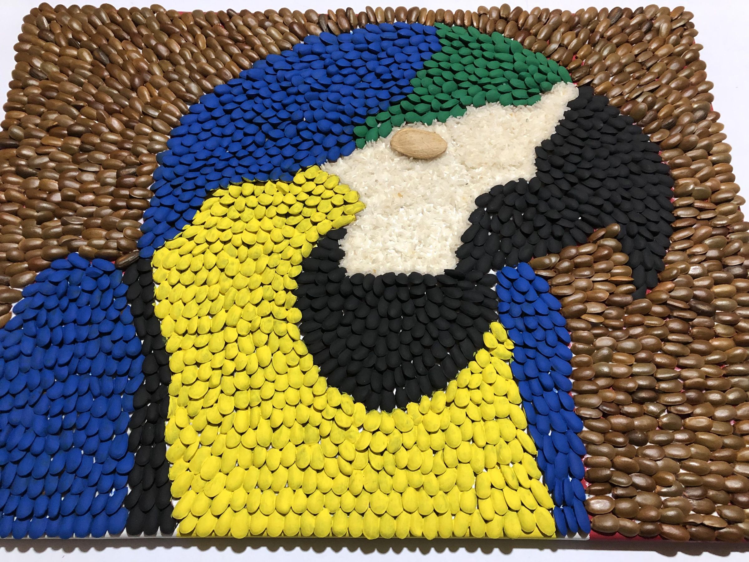 Macaw With Soursop Seeds, Rice and Mango. : 12 Steps (with Pictures ...