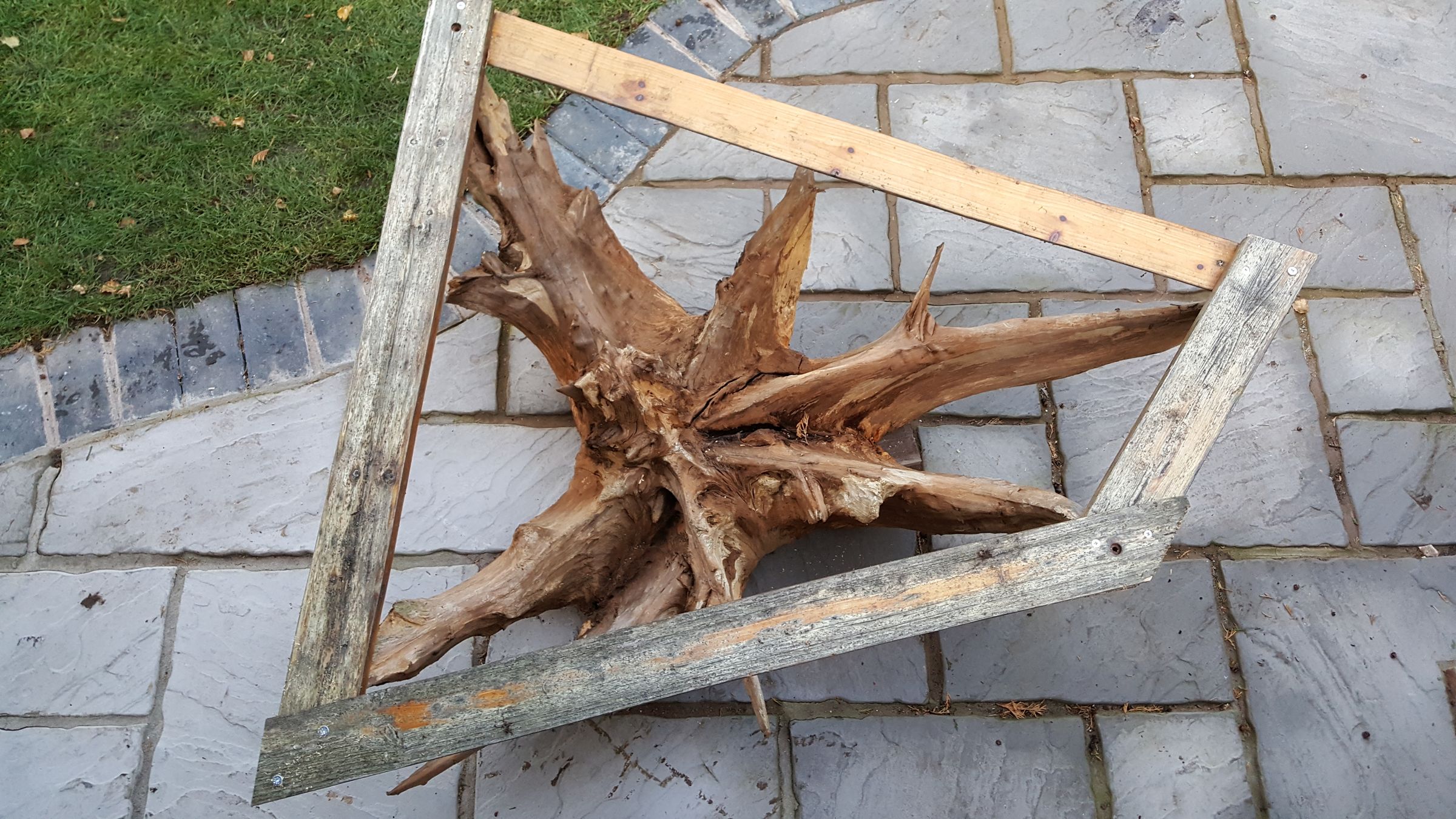 Tree Root Table With Custom Glass Top and Underlight : 10 Steps (with ...