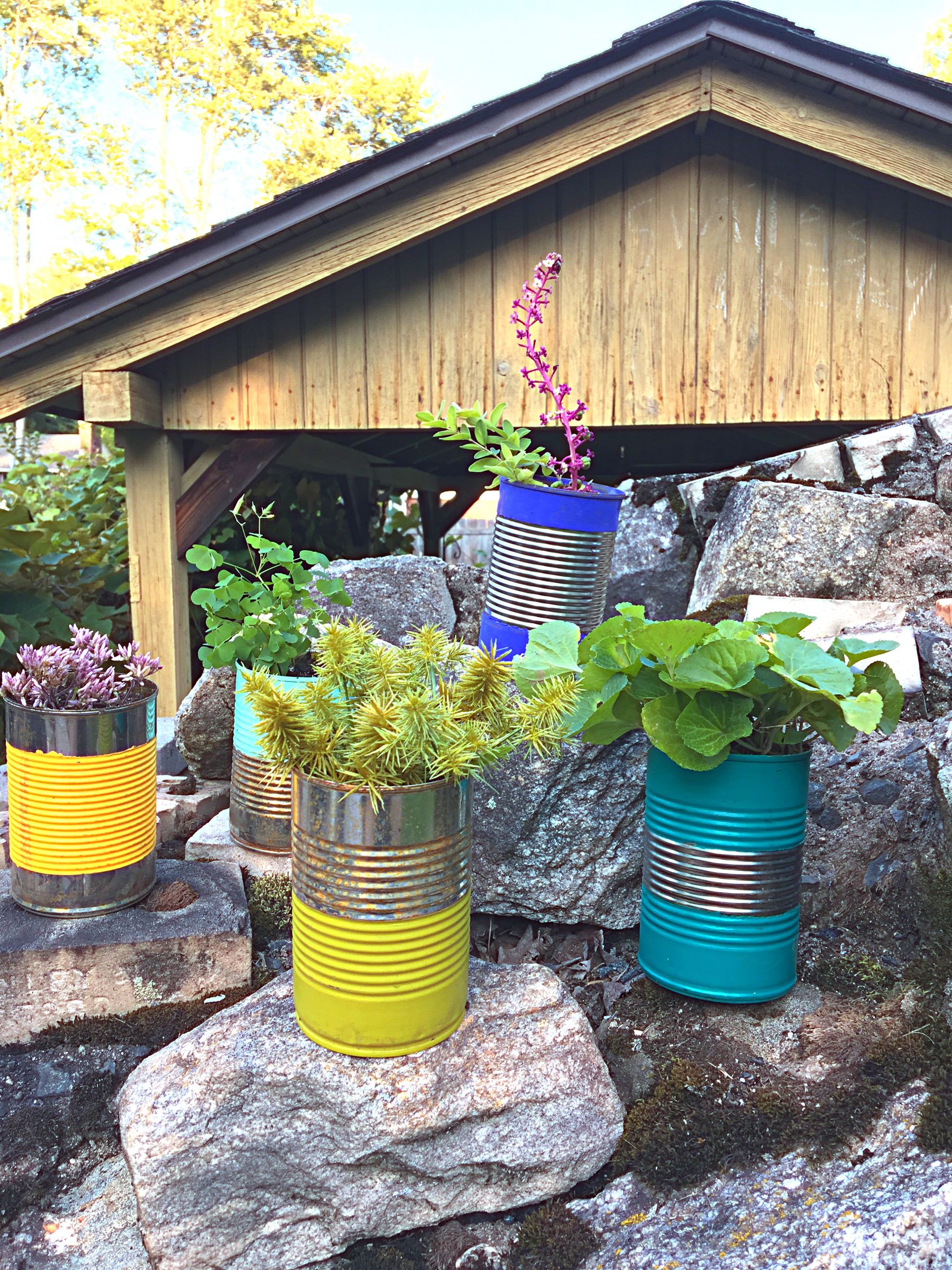 Tin Can Garden : 4 Steps (with Pictures) - Instructables