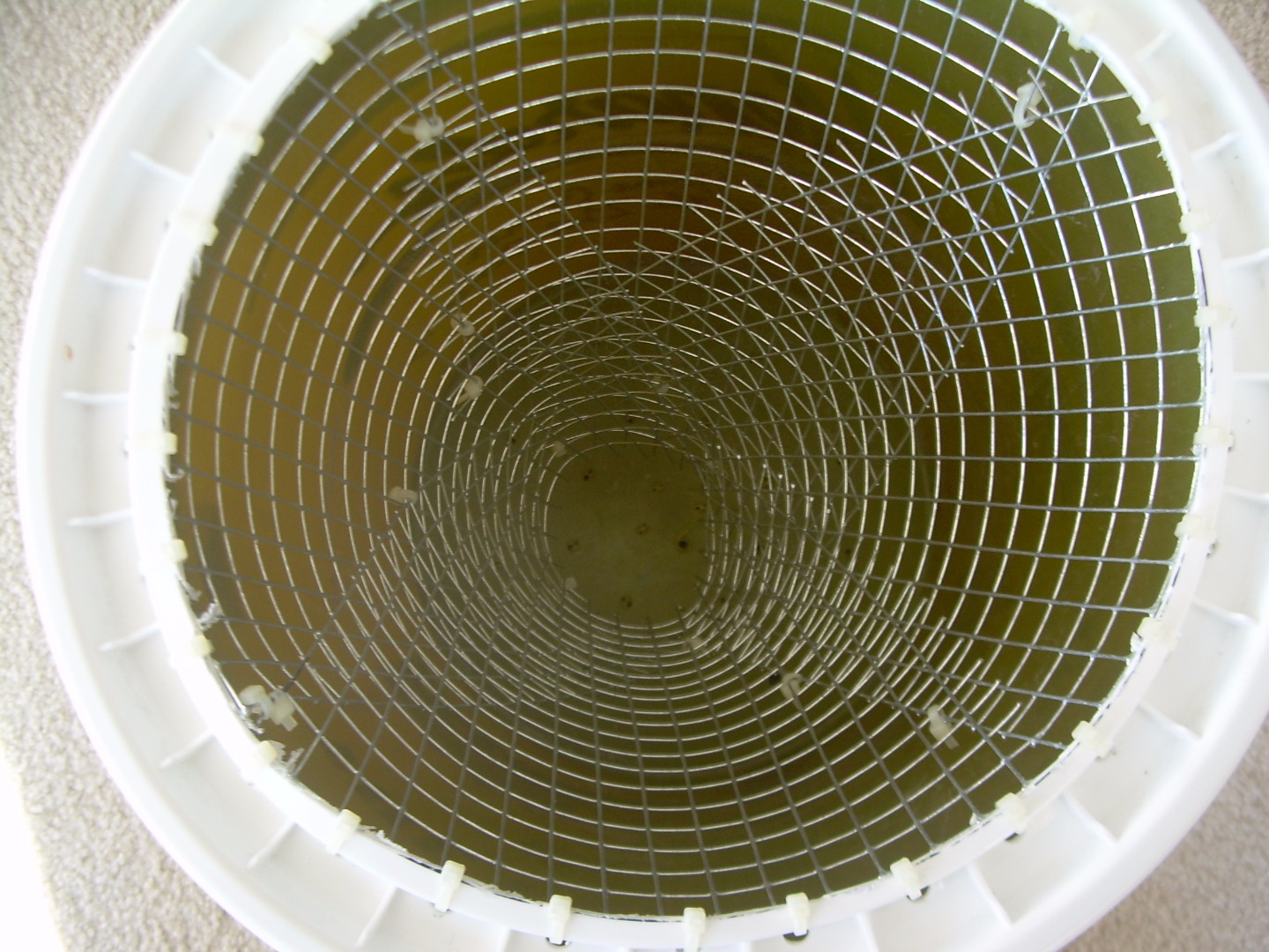 5 Gallon Bucket Fish Trap : 4 Steps (with Pictures) - Instructables