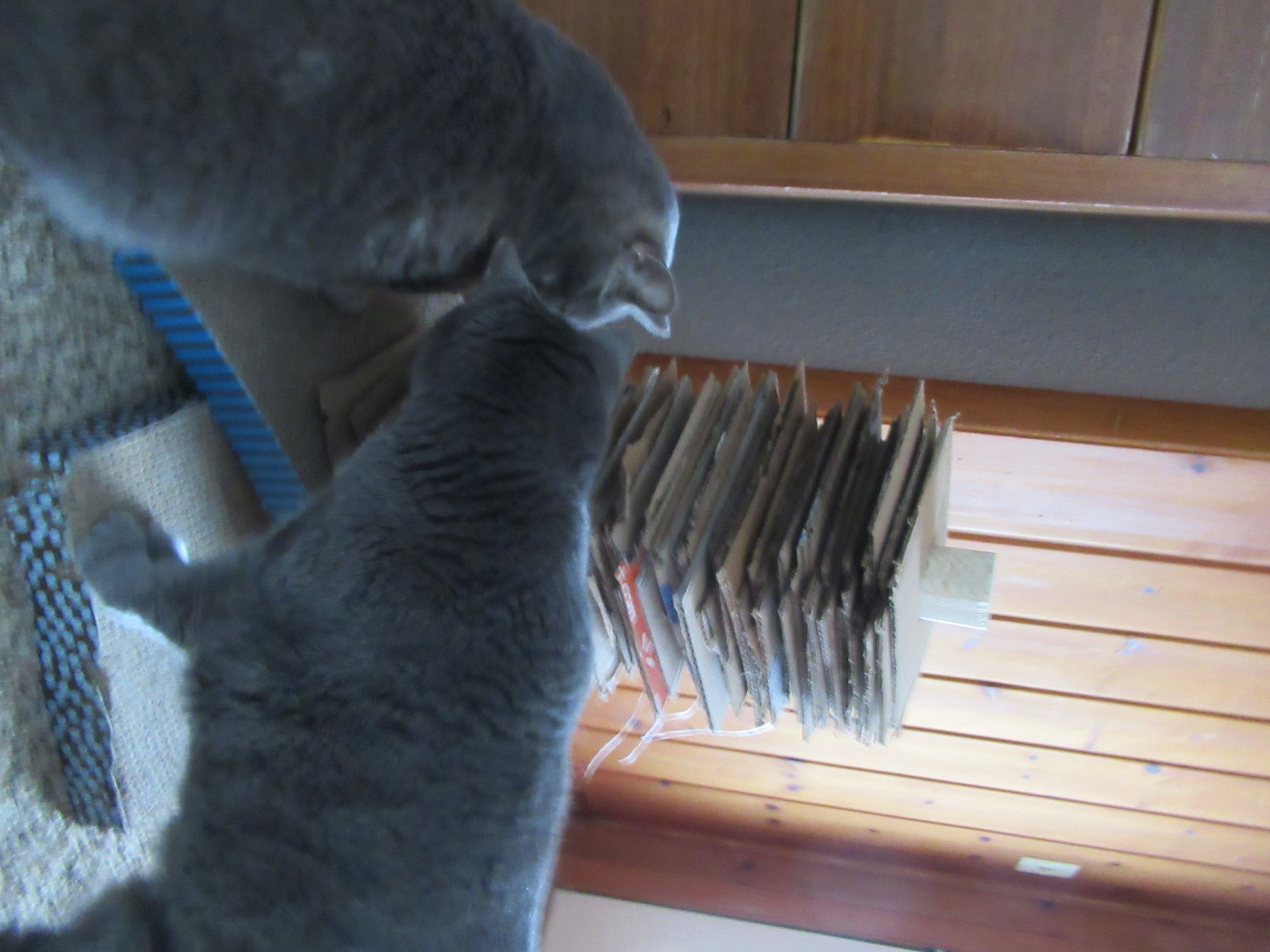 Cardboard Cat Scratching Post - Instructables