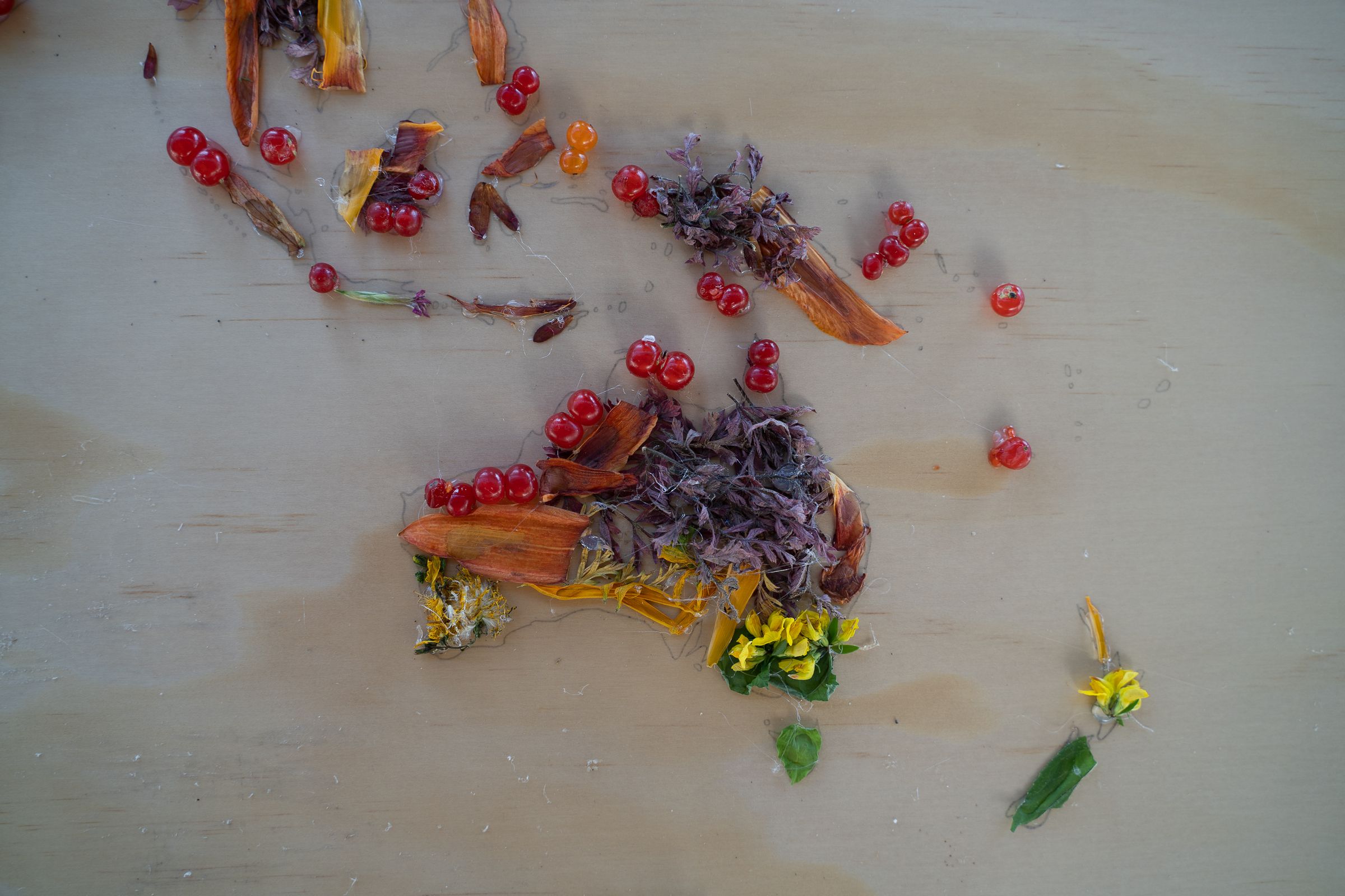 Creating a Map With Flowers + Constructing Your Own Artistic Style : 5 ...