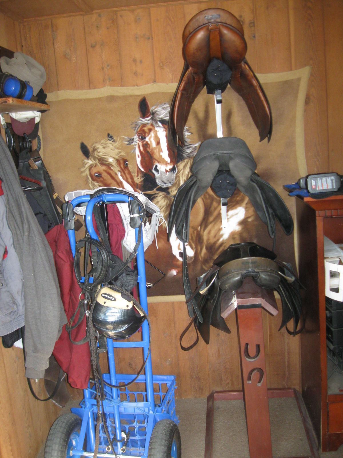 Inexpensive Customized Tack Room: Saddle Racks and Bridle Racks : 7 ...