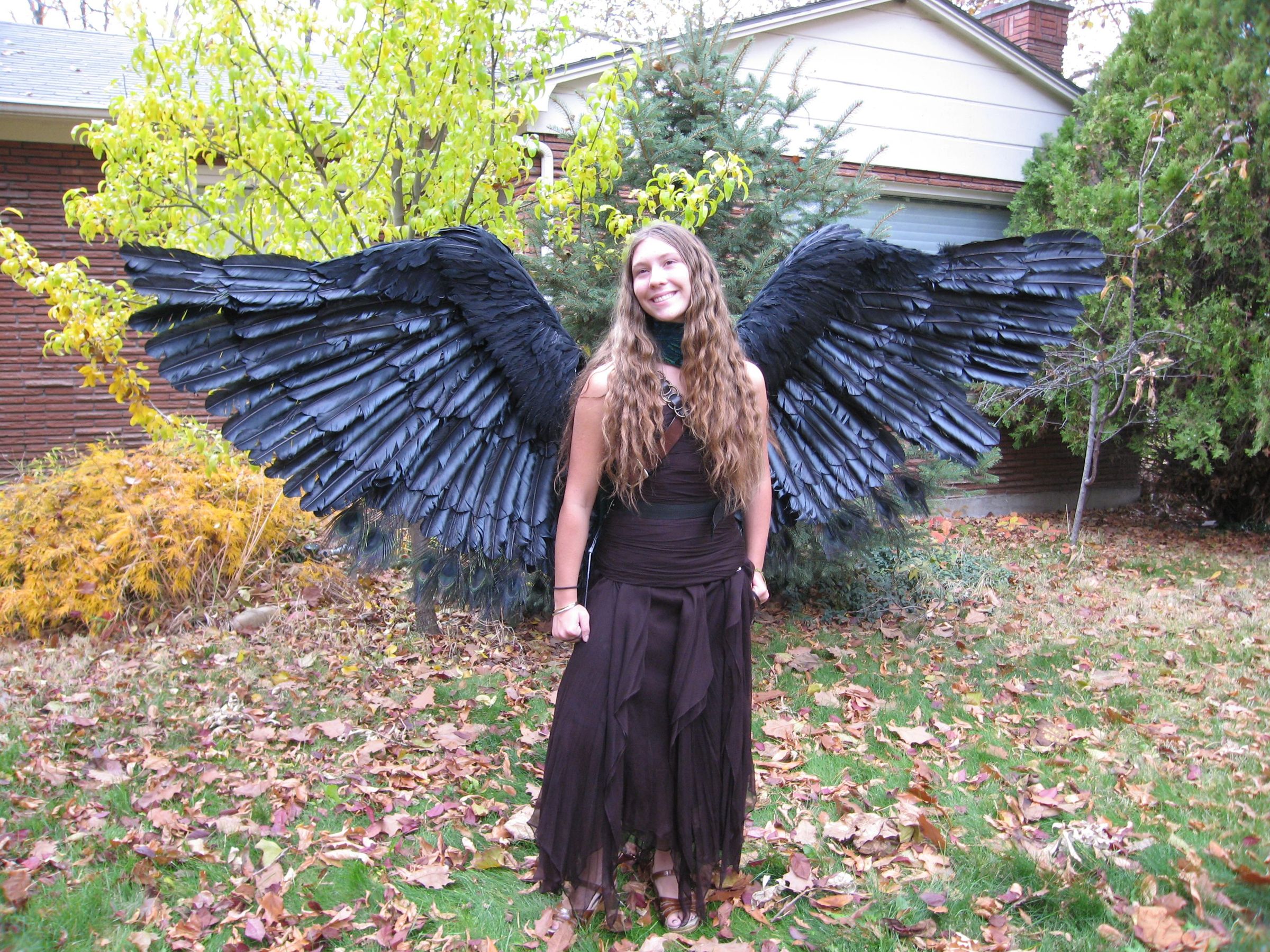 Articulating Electric Mechanical Wings : 10 Steps (with Pictures ...