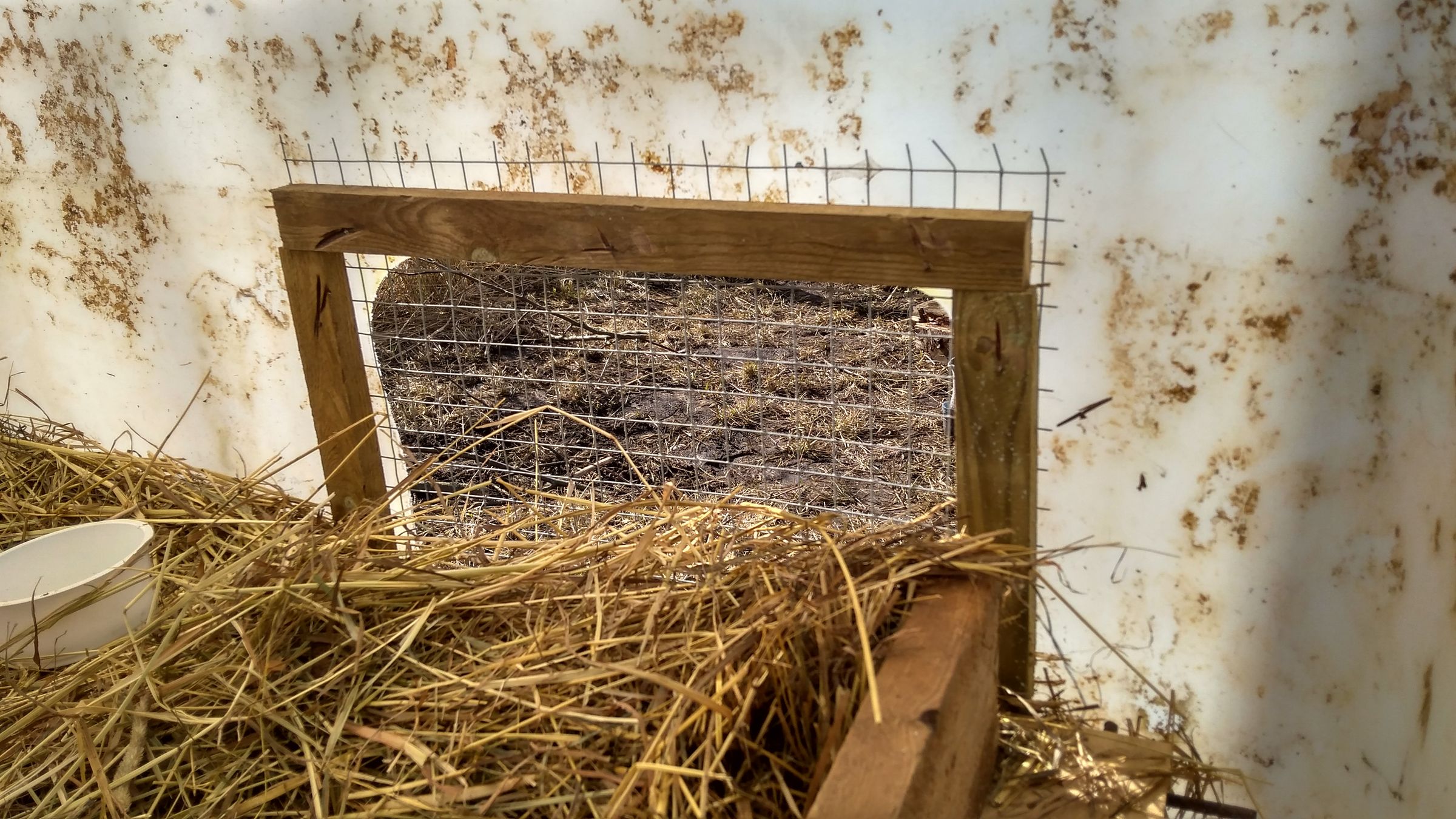 IBC Container Rabbit Hutch : 8 Steps (with Pictures) - Instructables