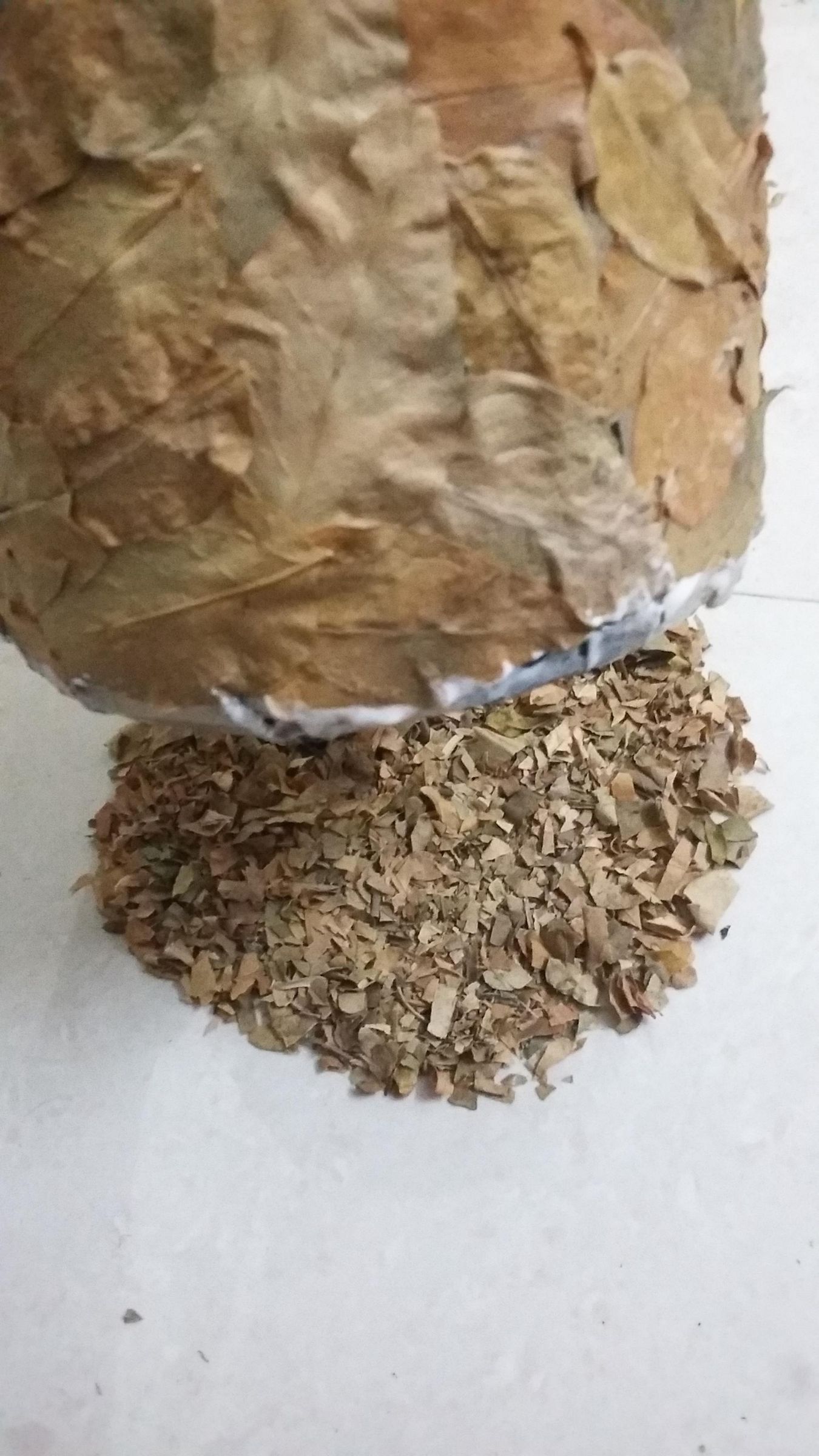 Cardboard Birds Nest Box : 12 Steps (with Pictures) - Instructables