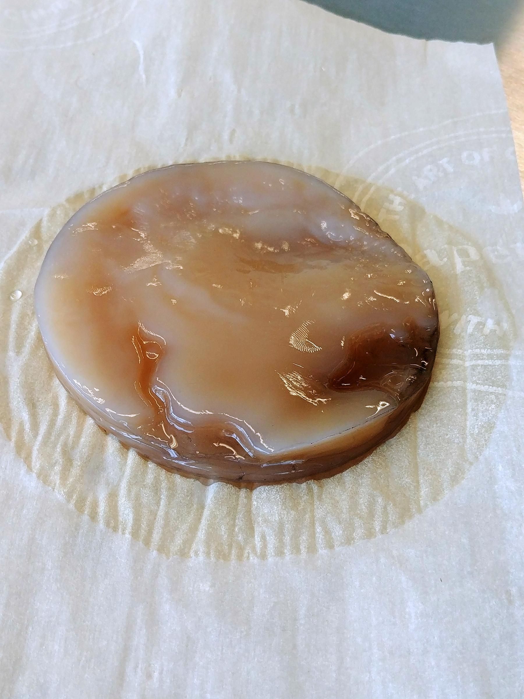 DIY Kombucha - Bacterial Cellulose Fermentor : 19 Steps (with Pictures ...