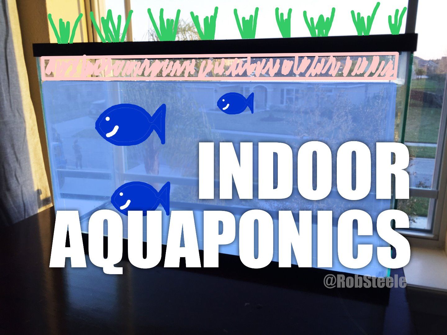 Indoor Aquaponics : 5 Steps - Instructables