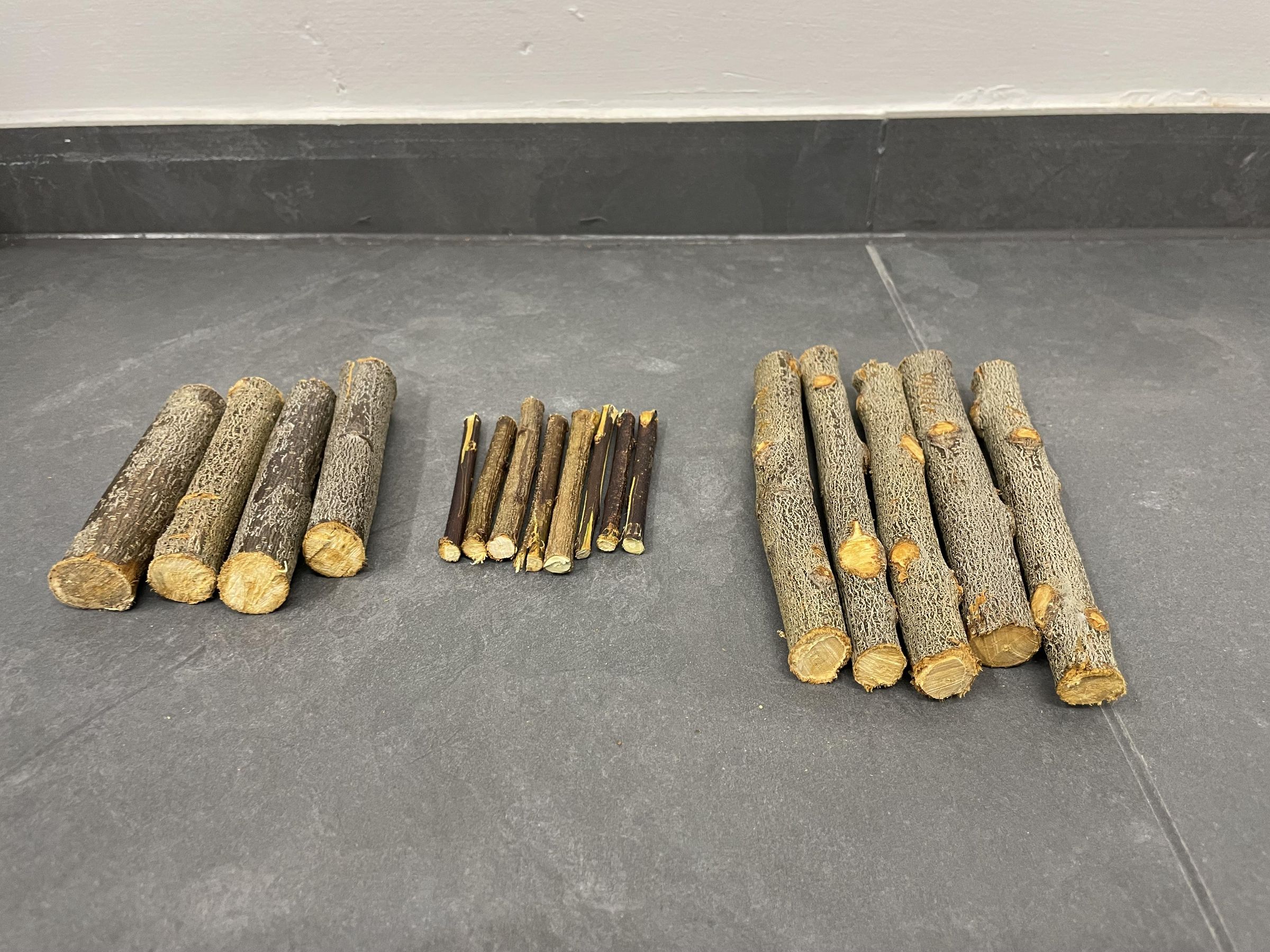 Turtle Basking Area : 6 Steps (with Pictures) - Instructables